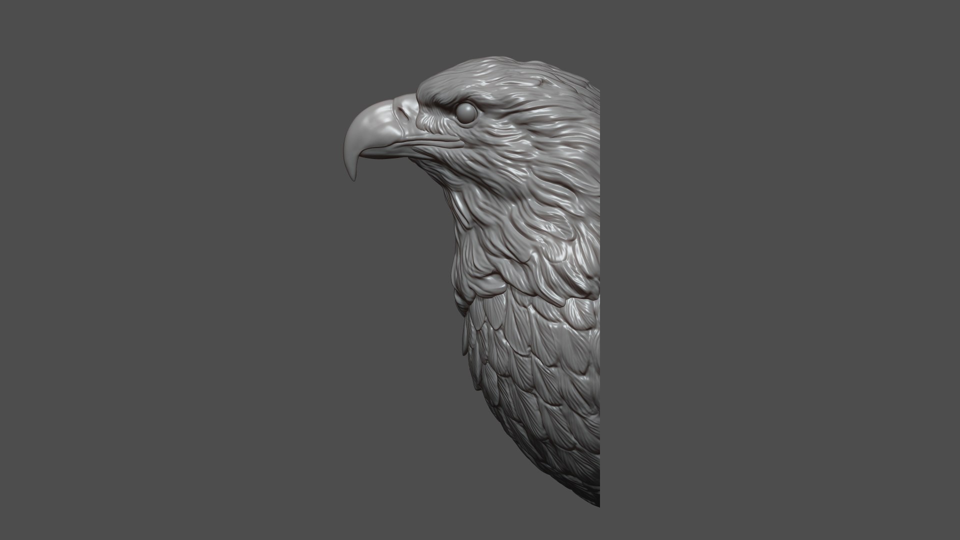 Eagle Head 3D Model - TurboSquid 2266122