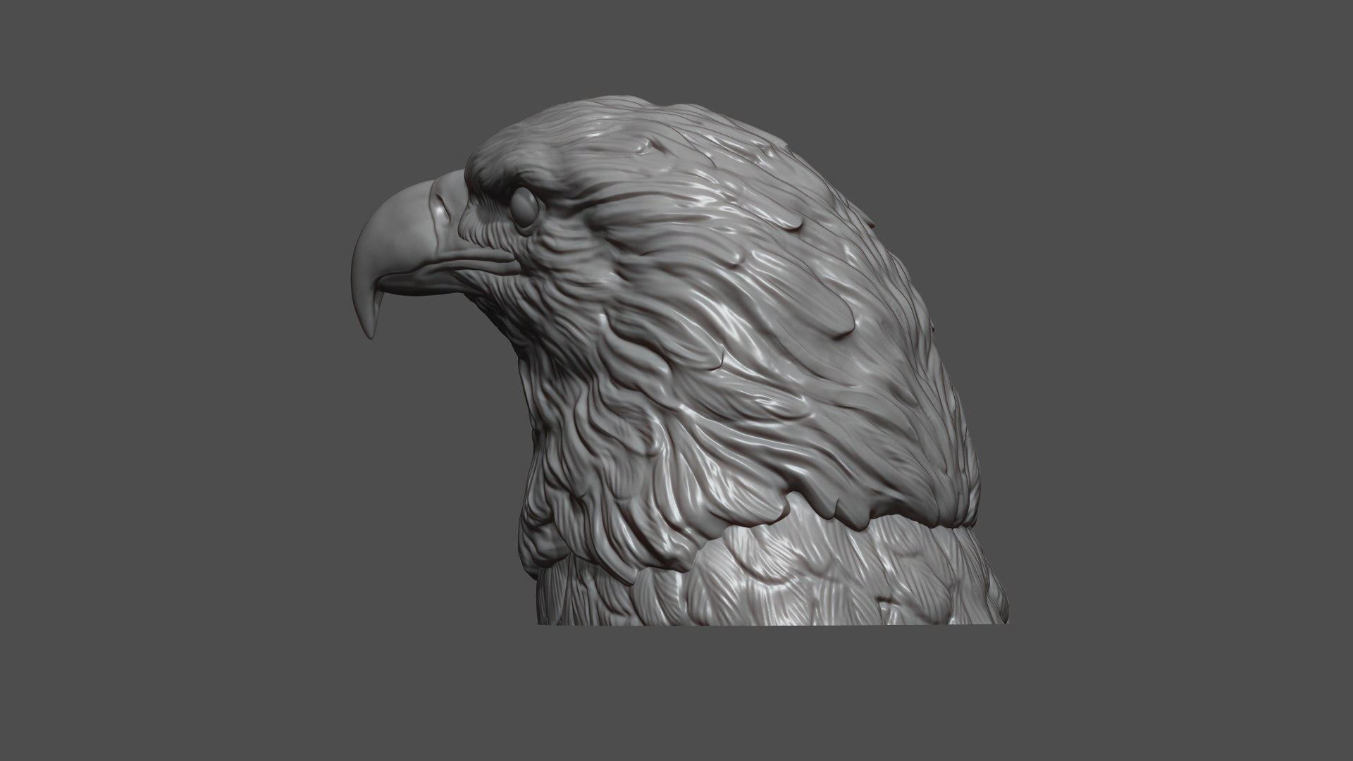 Eagle Head 3D Model - TurboSquid 2266122