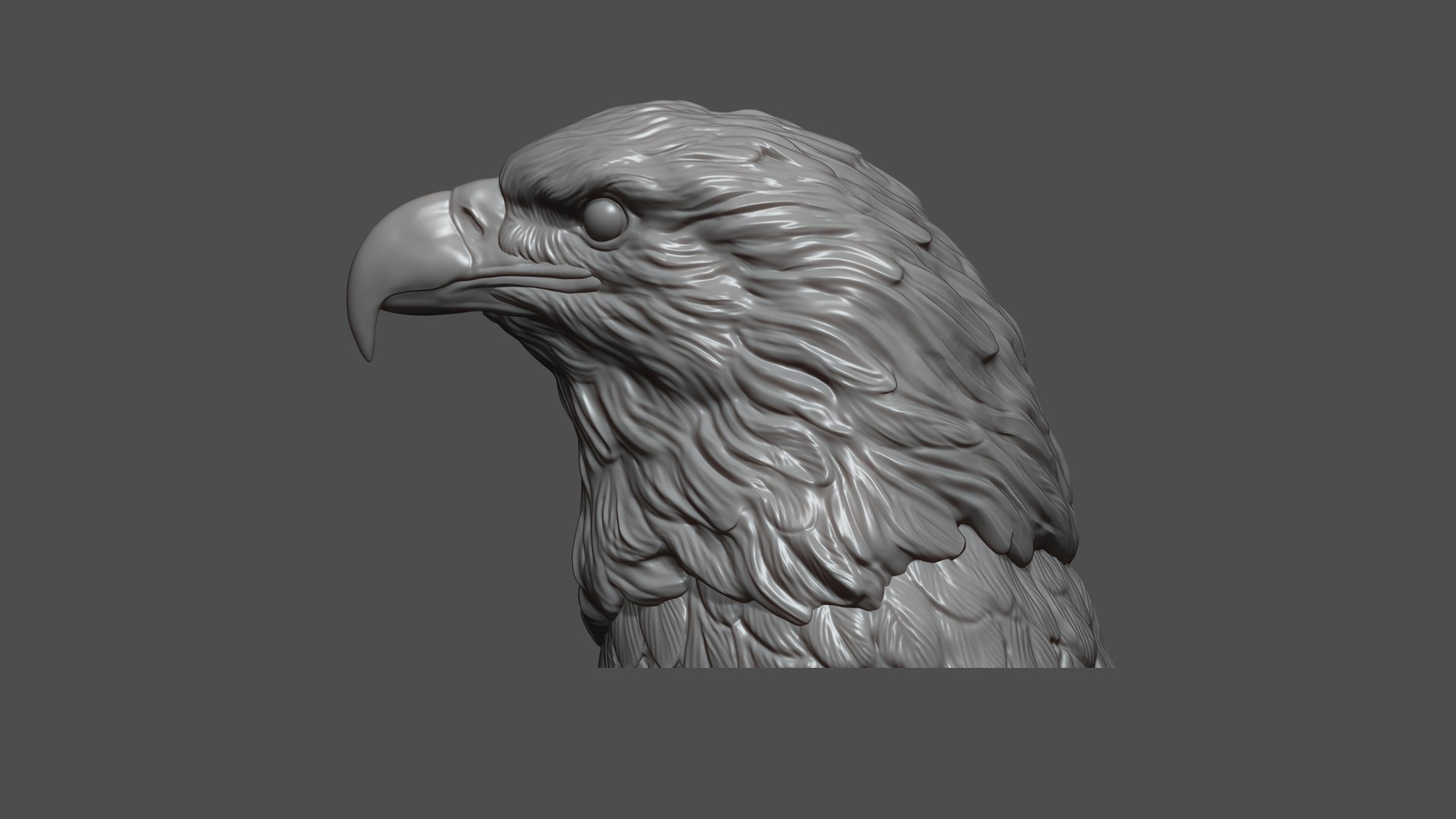 Eagle Head 3D Model - TurboSquid 2266122