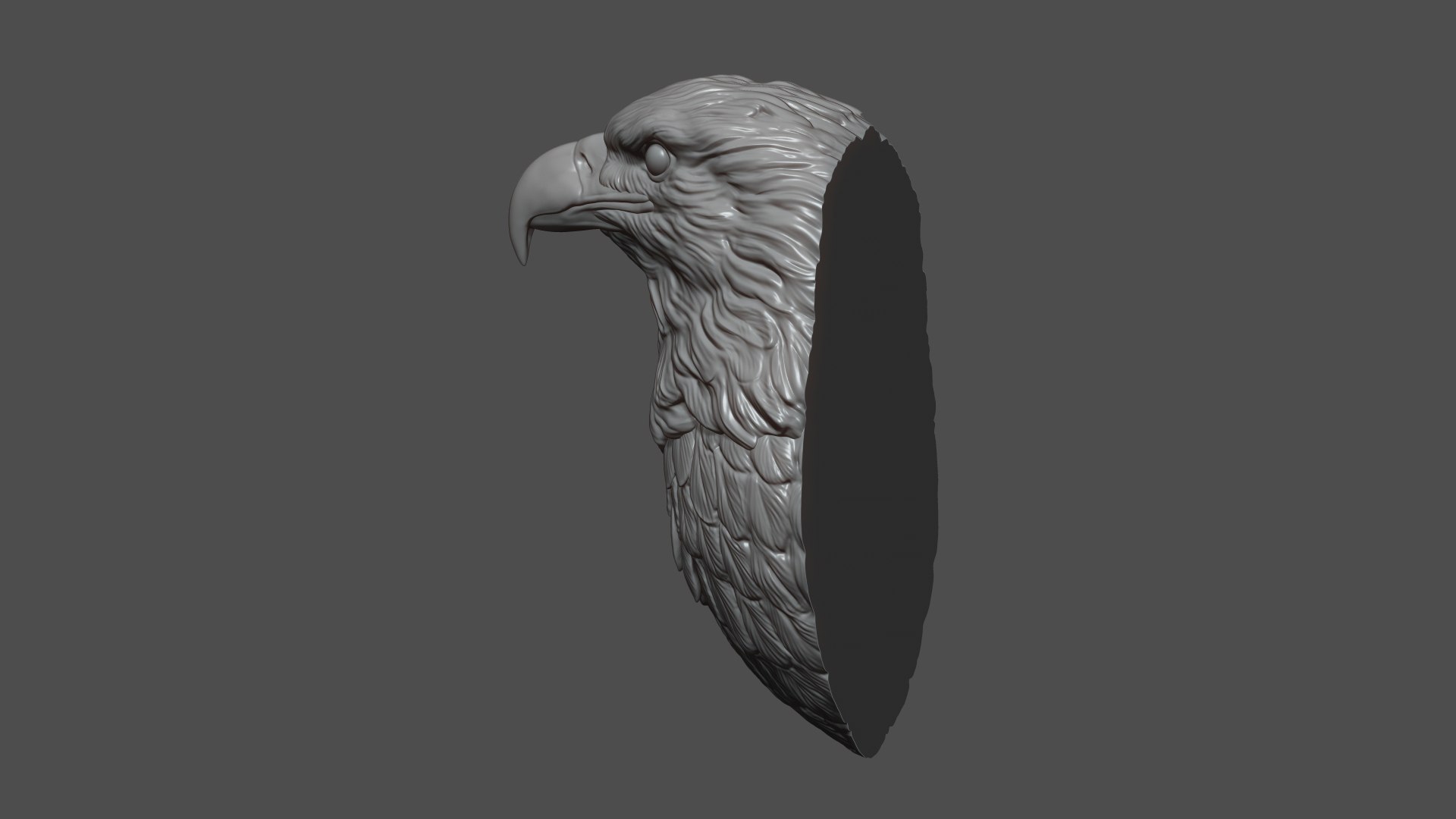 Eagle Head 3D Model - TurboSquid 2266122