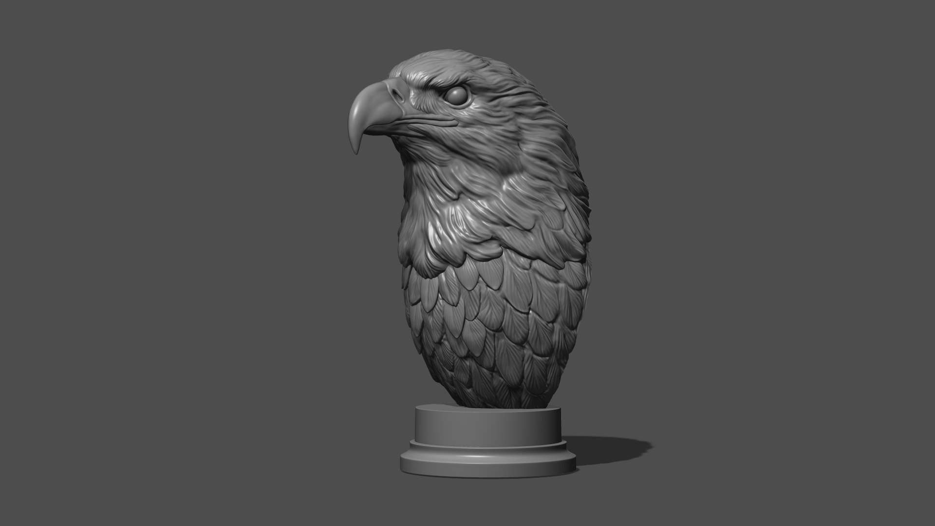 Eagle Head 3D Model - TurboSquid 2266122