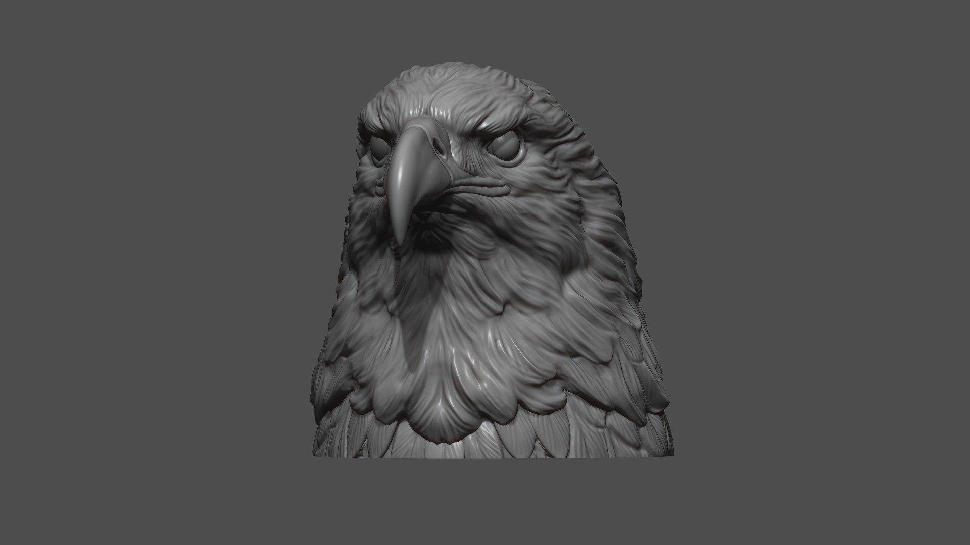 Eagle Head 3D Model - TurboSquid 2266122