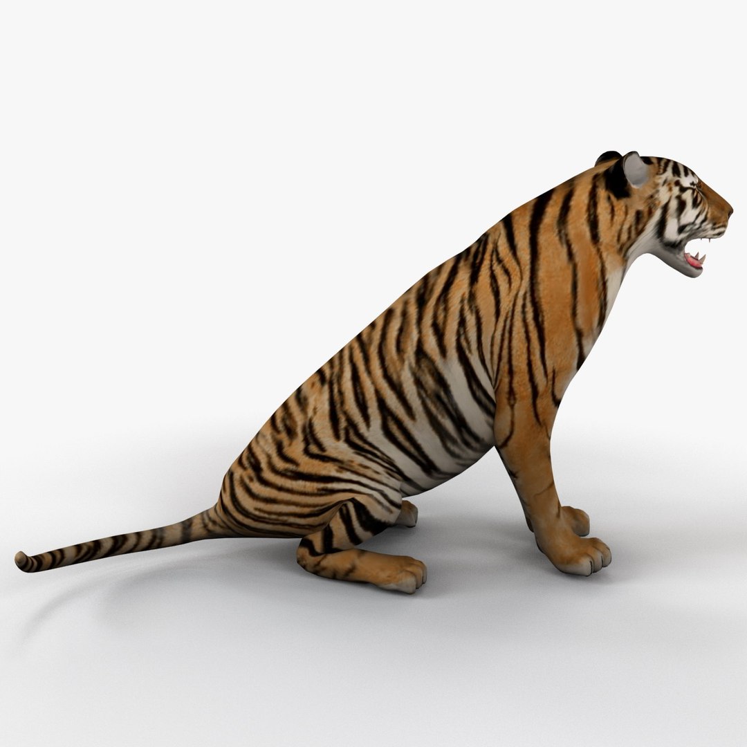 3d Tiger 2 Rigged Animal Model