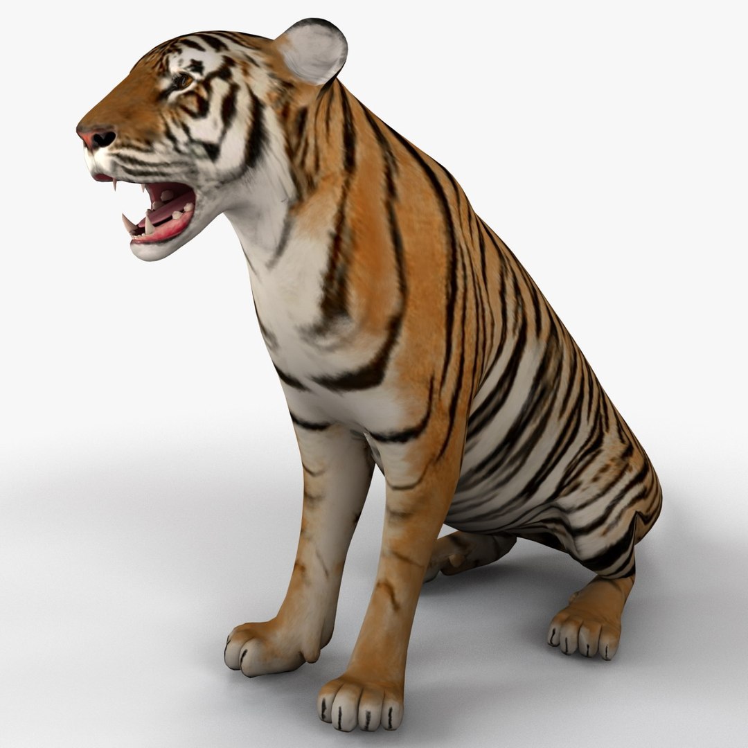 3d Tiger 2 Rigged Animal Model