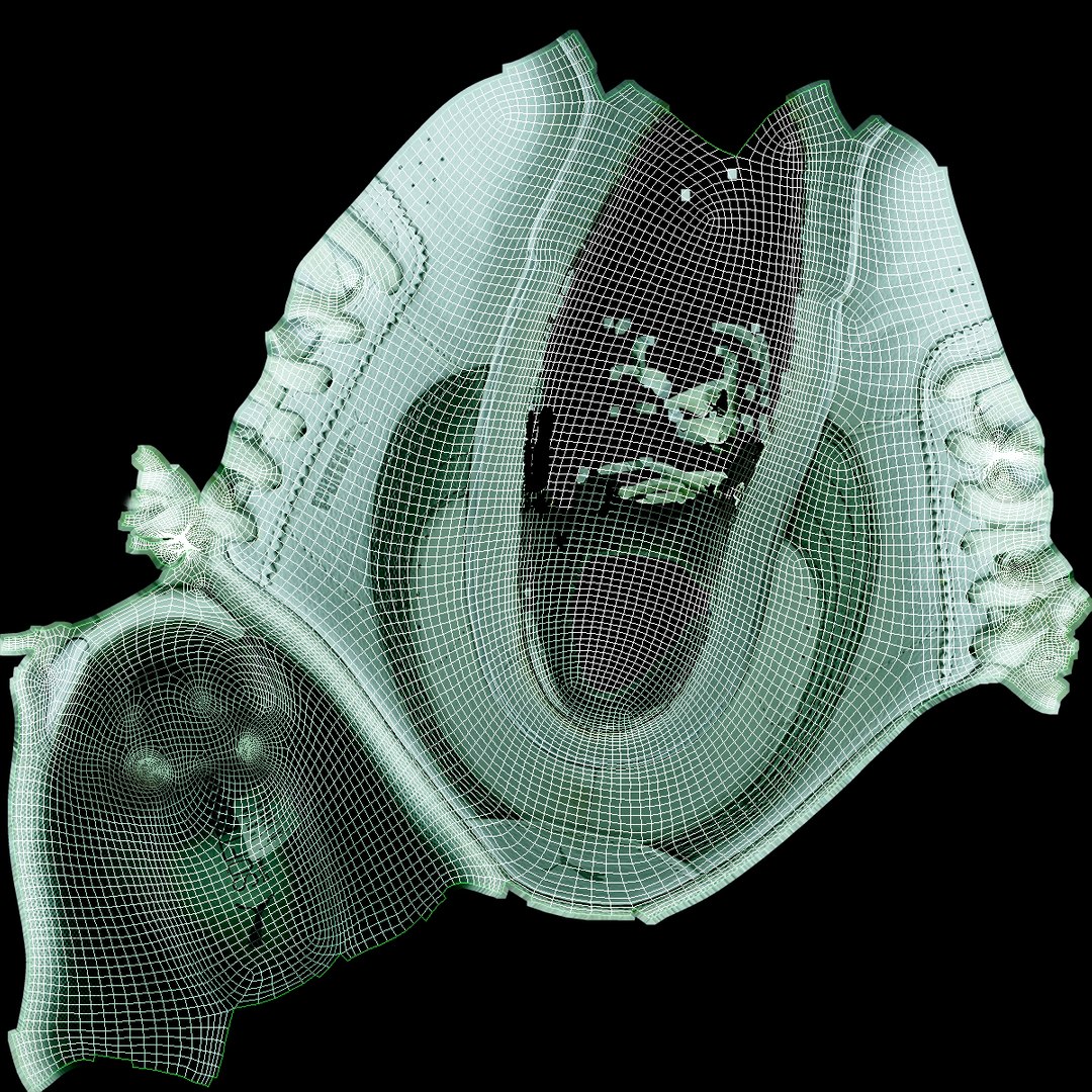 Shoe Collection 31 Sneakers 3D - TurboSquid 1954204