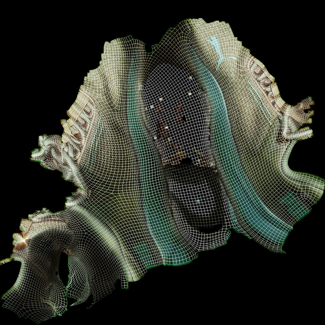 Shoe Collection 31 Sneakers 3D - TurboSquid 1954204