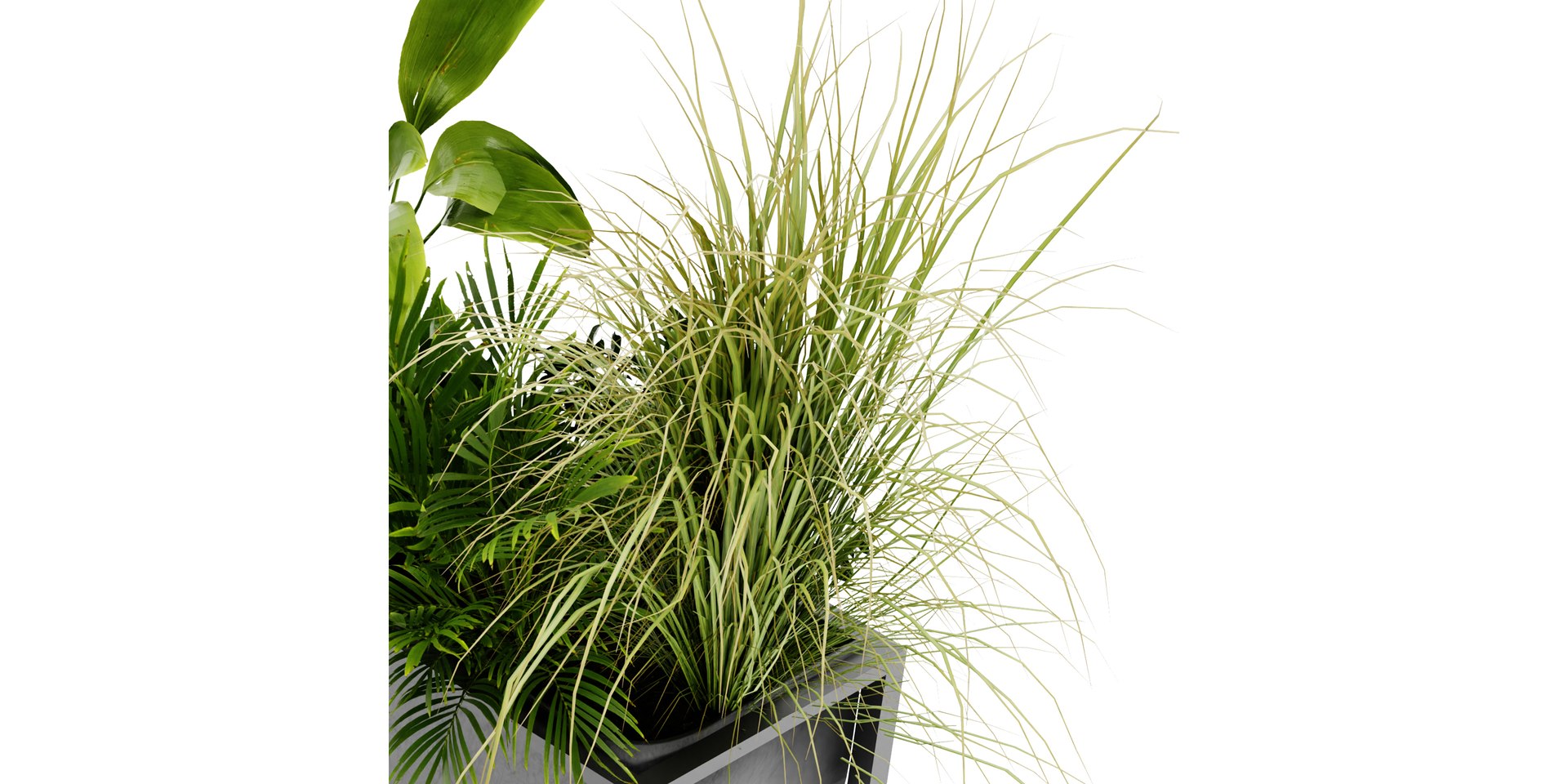 3D Collection Plant Vol 444 - Blender Model - TurboSquid 2099063