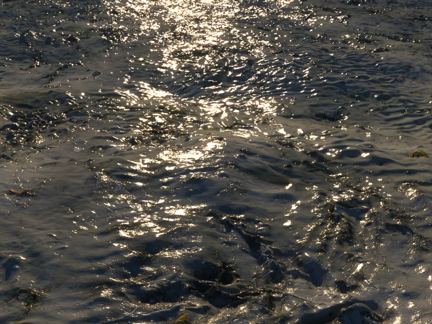 Mud Swamp 3D - TurboSquid 1328777