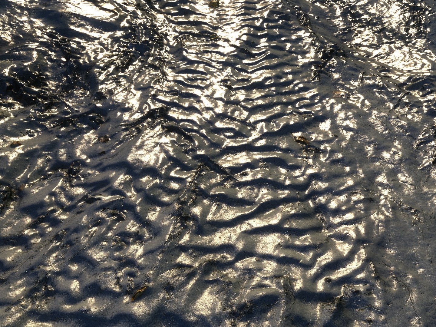 Mud Swamp 3D - TurboSquid 1328777