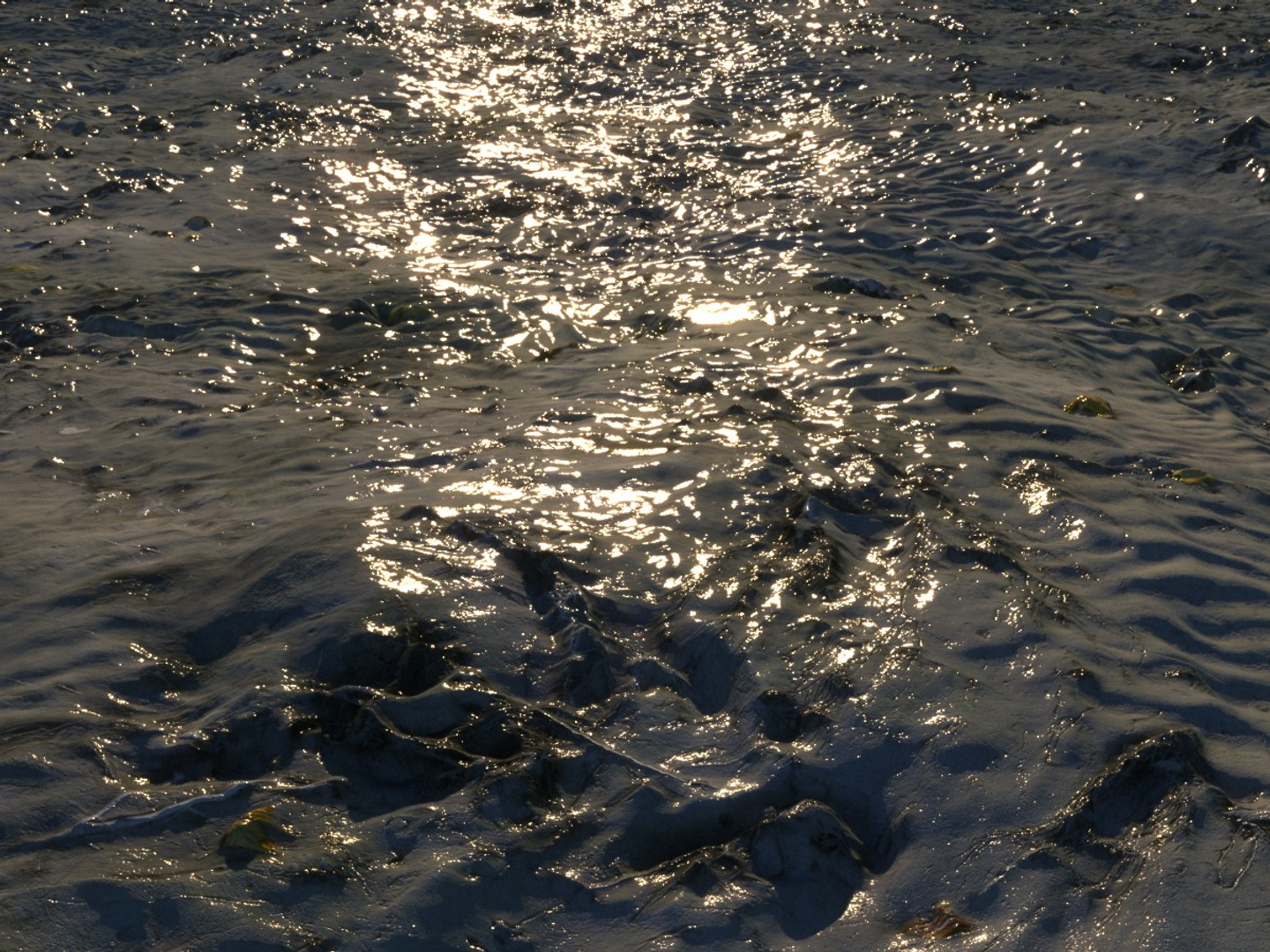 Mud Swamp 3D - TurboSquid 1328777