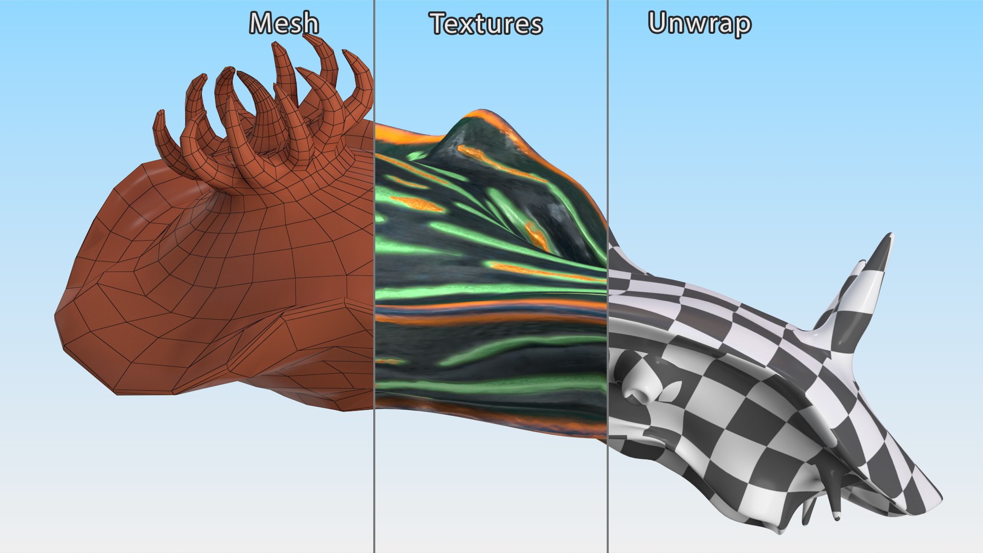 Kubaryana Sea Slug 3D Model - TurboSquid 2185748