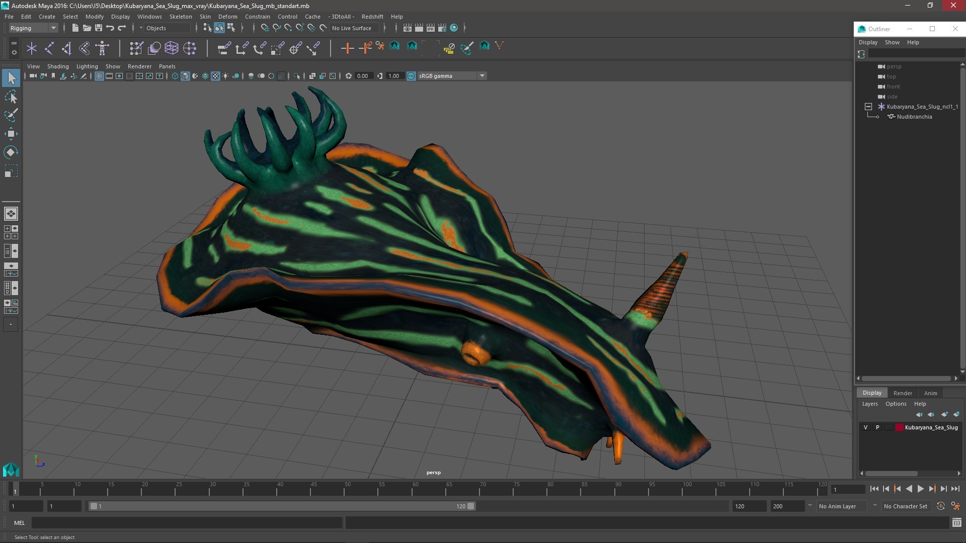 Kubaryana Sea Slug 3D Model - TurboSquid 2185748