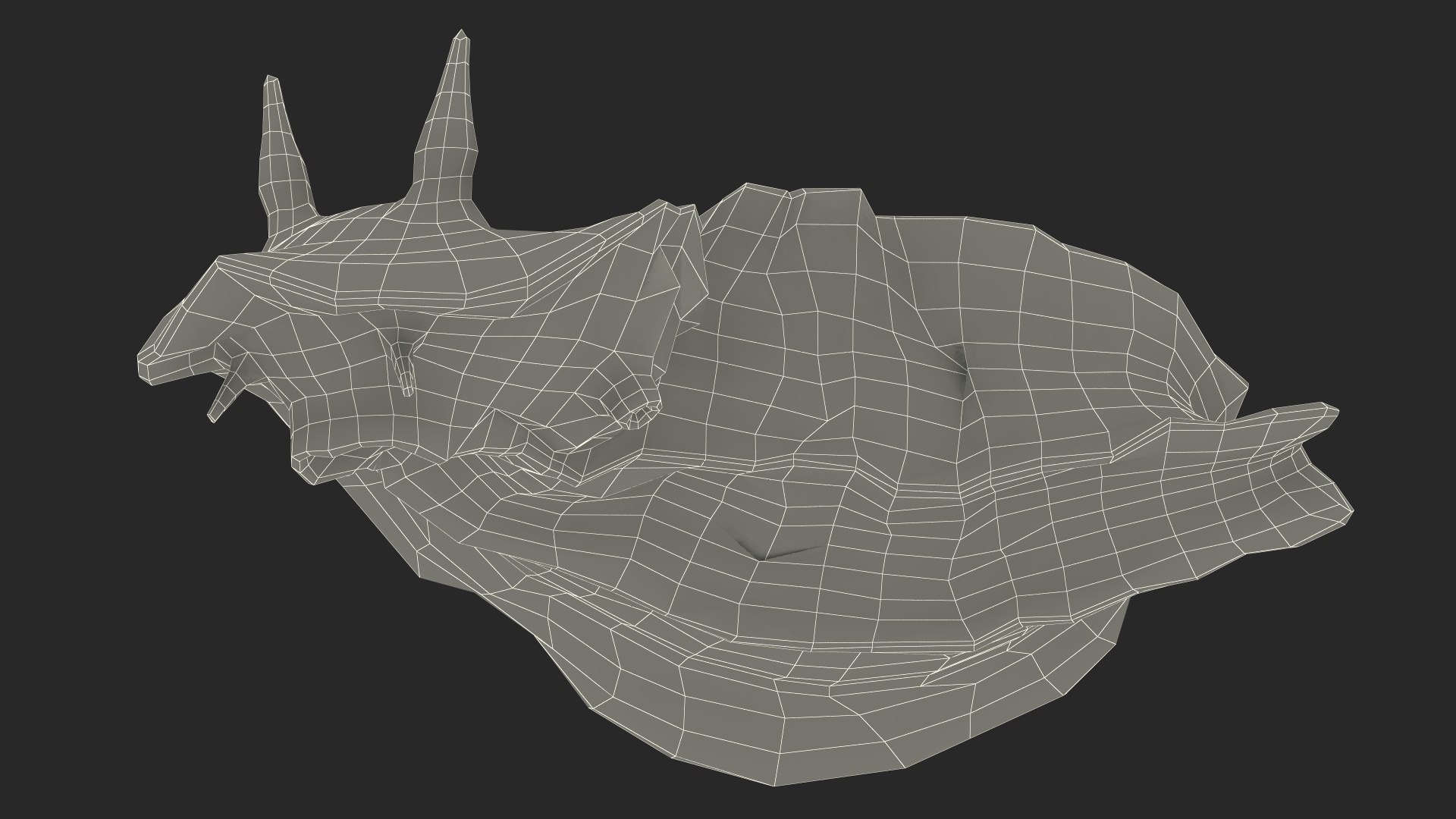Kubaryana Sea Slug 3D Model - TurboSquid 2185748