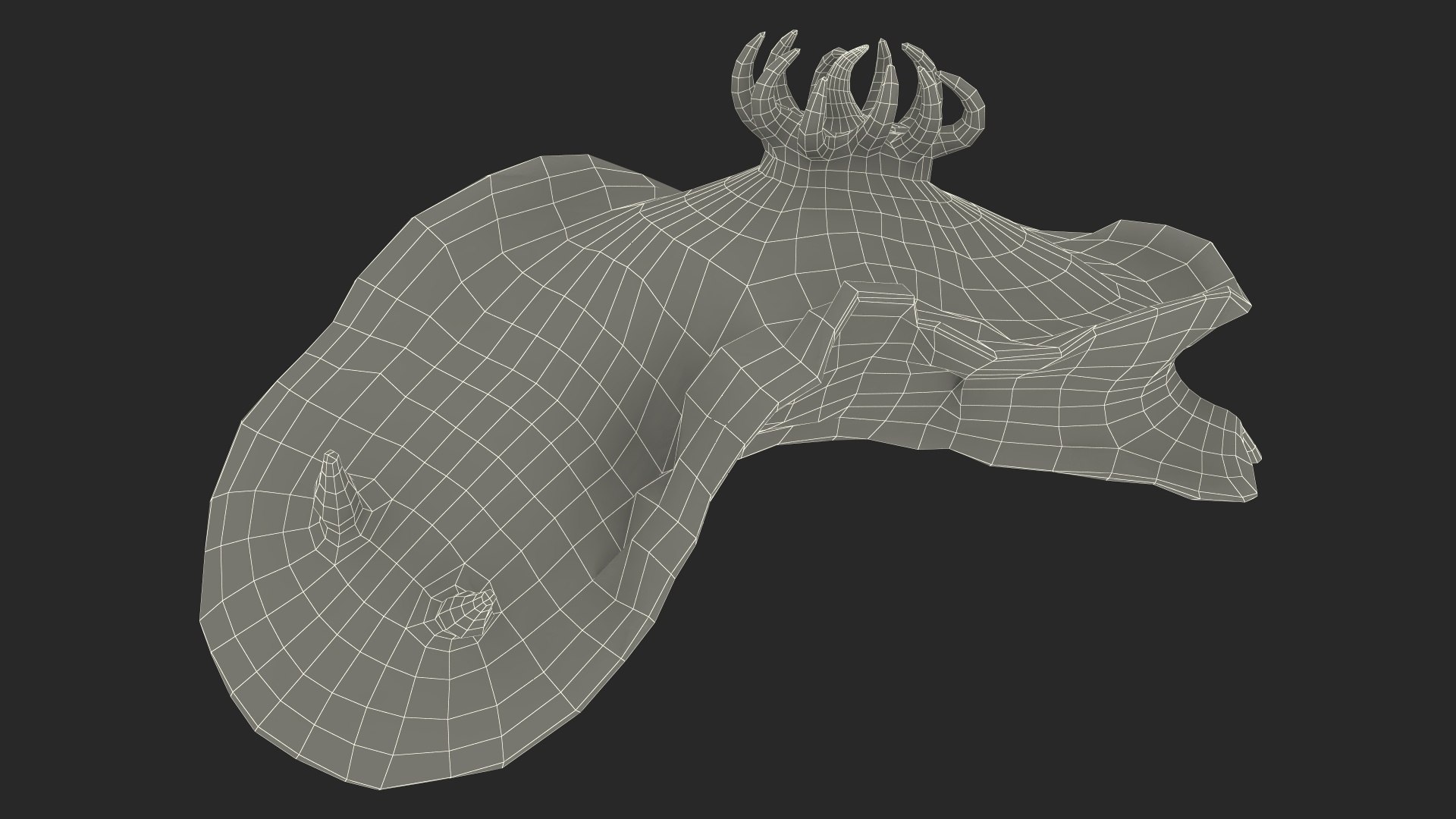 Kubaryana Sea Slug 3D Model - TurboSquid 2185748
