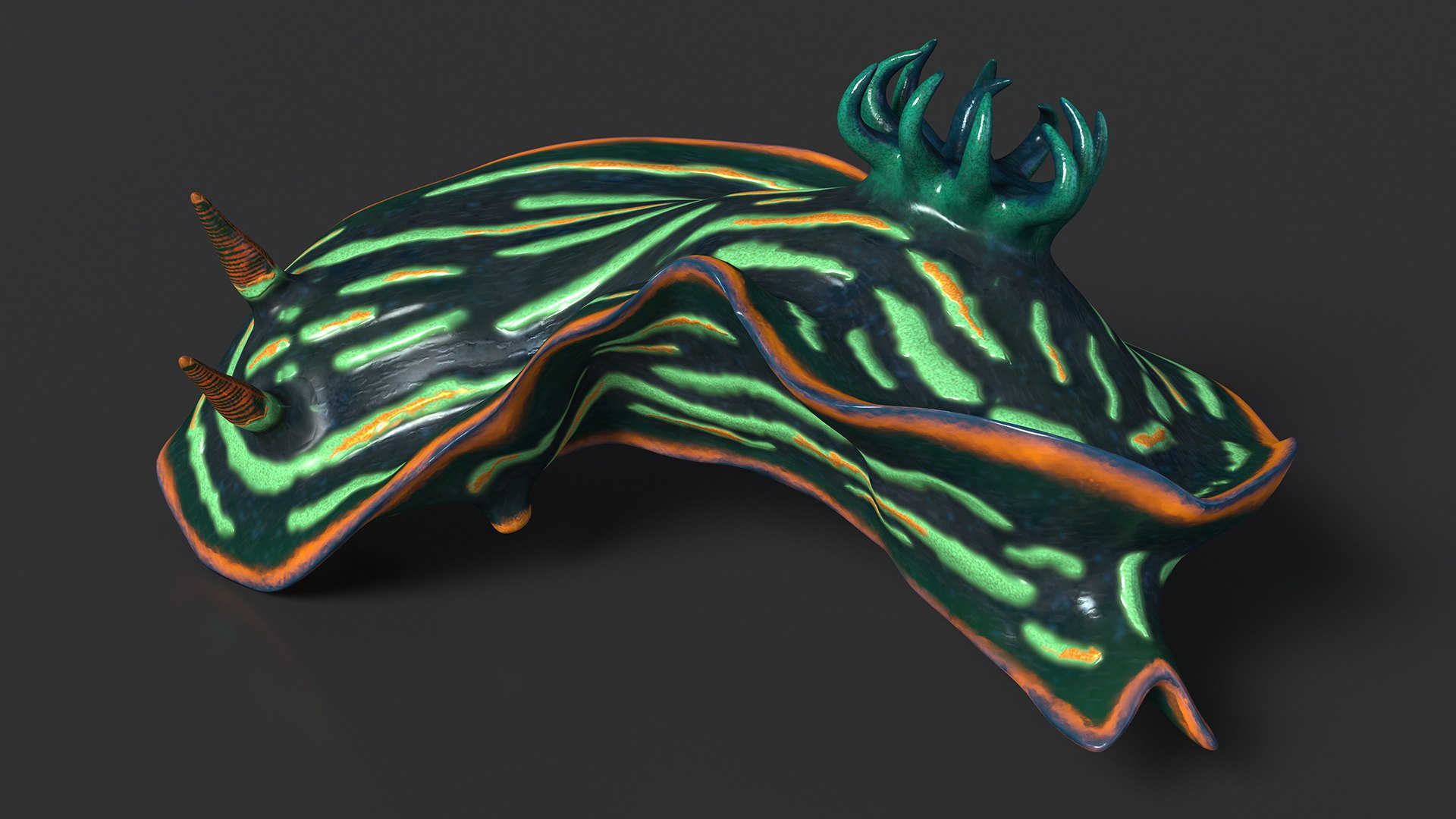 Kubaryana Sea Slug 3D Model - TurboSquid 2185748
