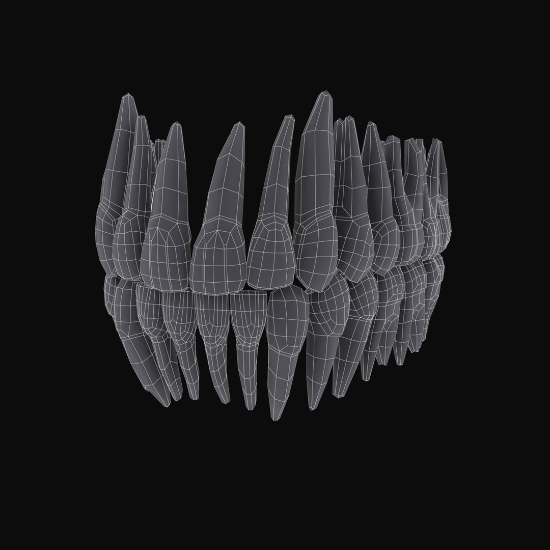 3d model teeth