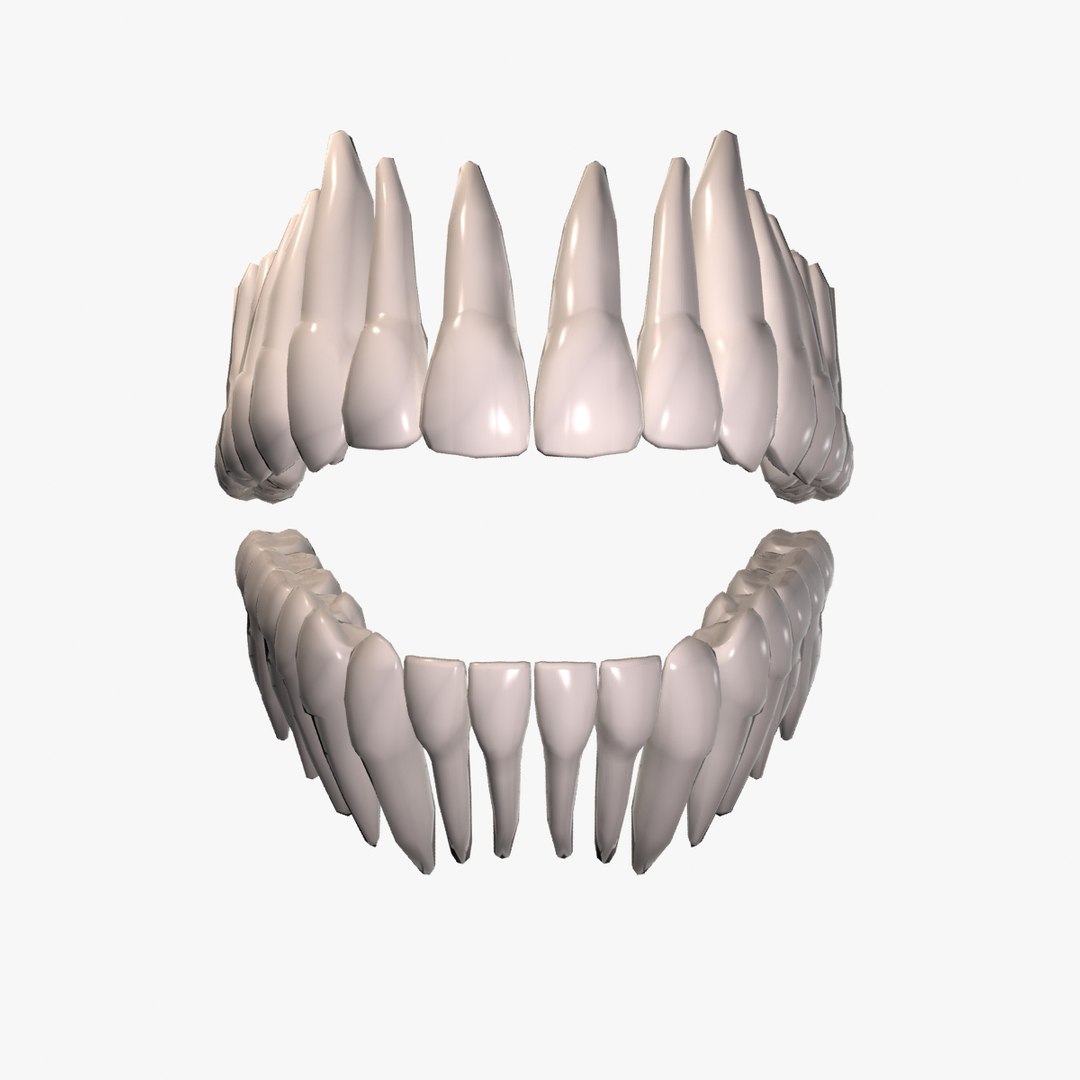 3d model teeth