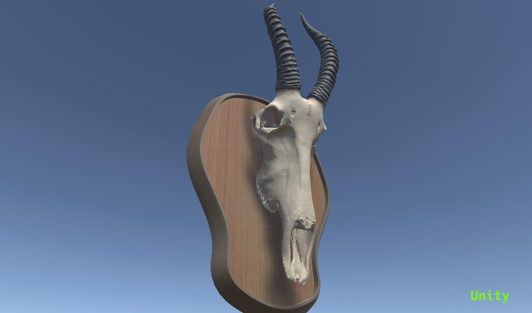 Antelope Skull 3D Model - TurboSquid 1453331