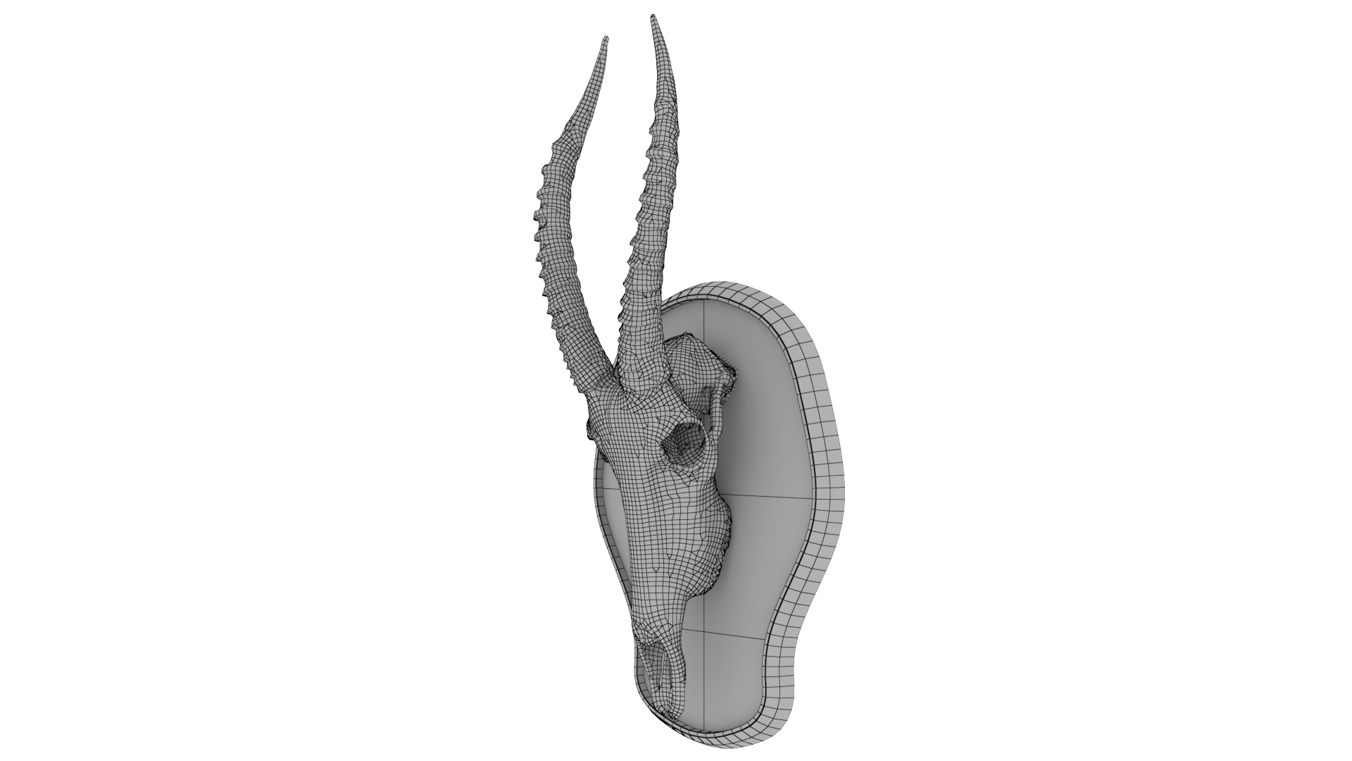 Antelope Skull 3D Model - TurboSquid 1453331