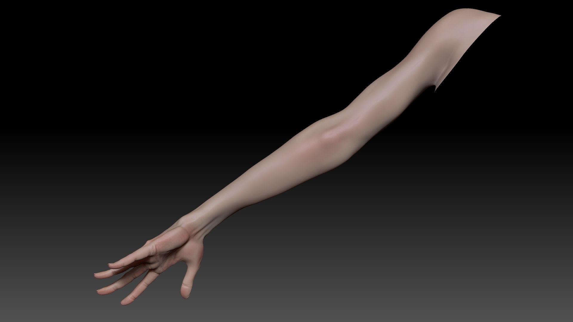 Female Pro Arm Sculpt Project 3D Model - TurboSquid 2052469