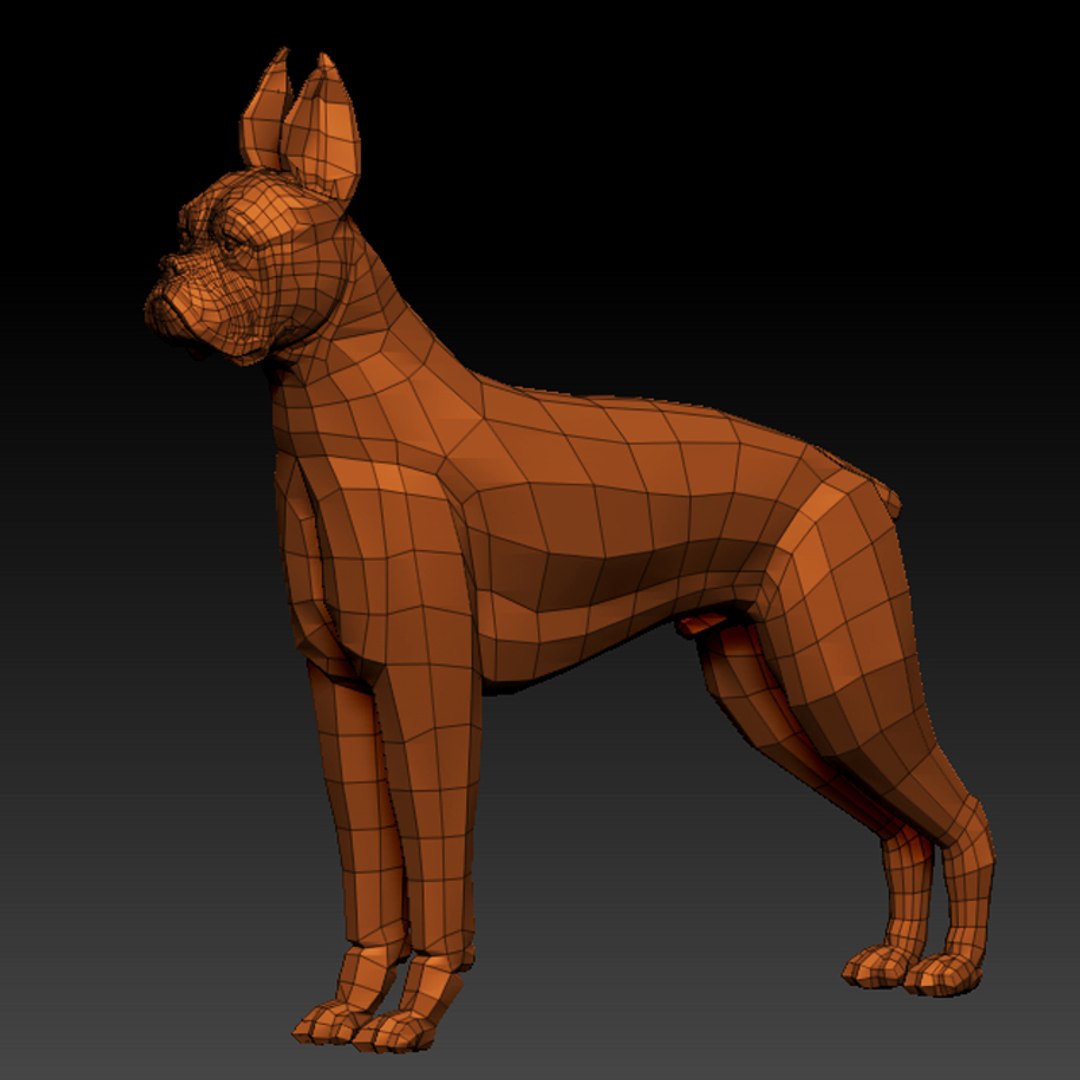 Boxer Dog 3D Model - TurboSquid 1292638