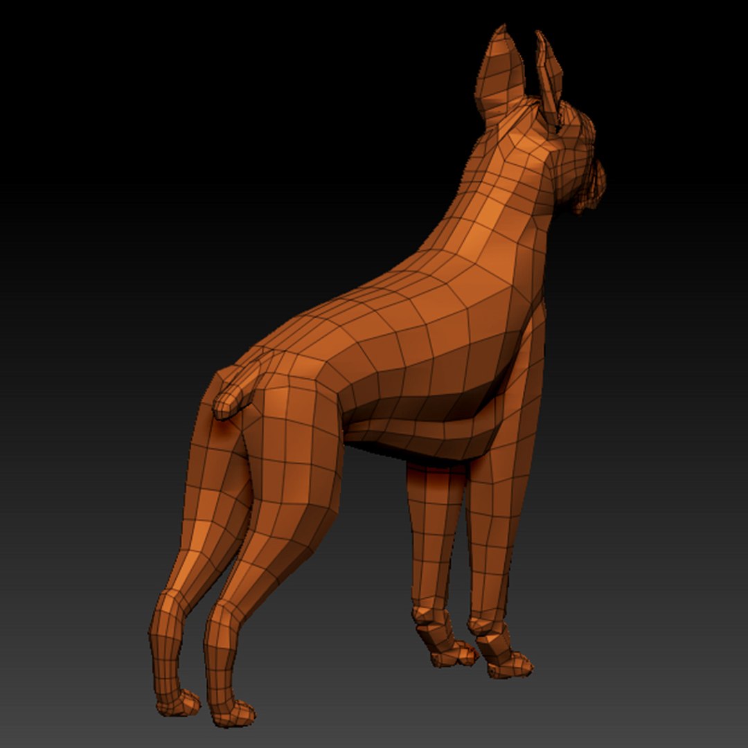 Boxer Dog 3D Model - TurboSquid 1292638