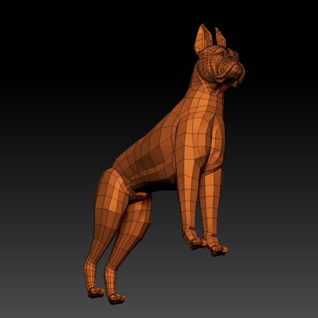 Boxer Dog 3D Model - TurboSquid 1292638