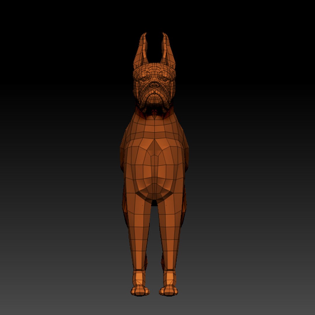 Boxer Dog 3D Model - TurboSquid 1292638