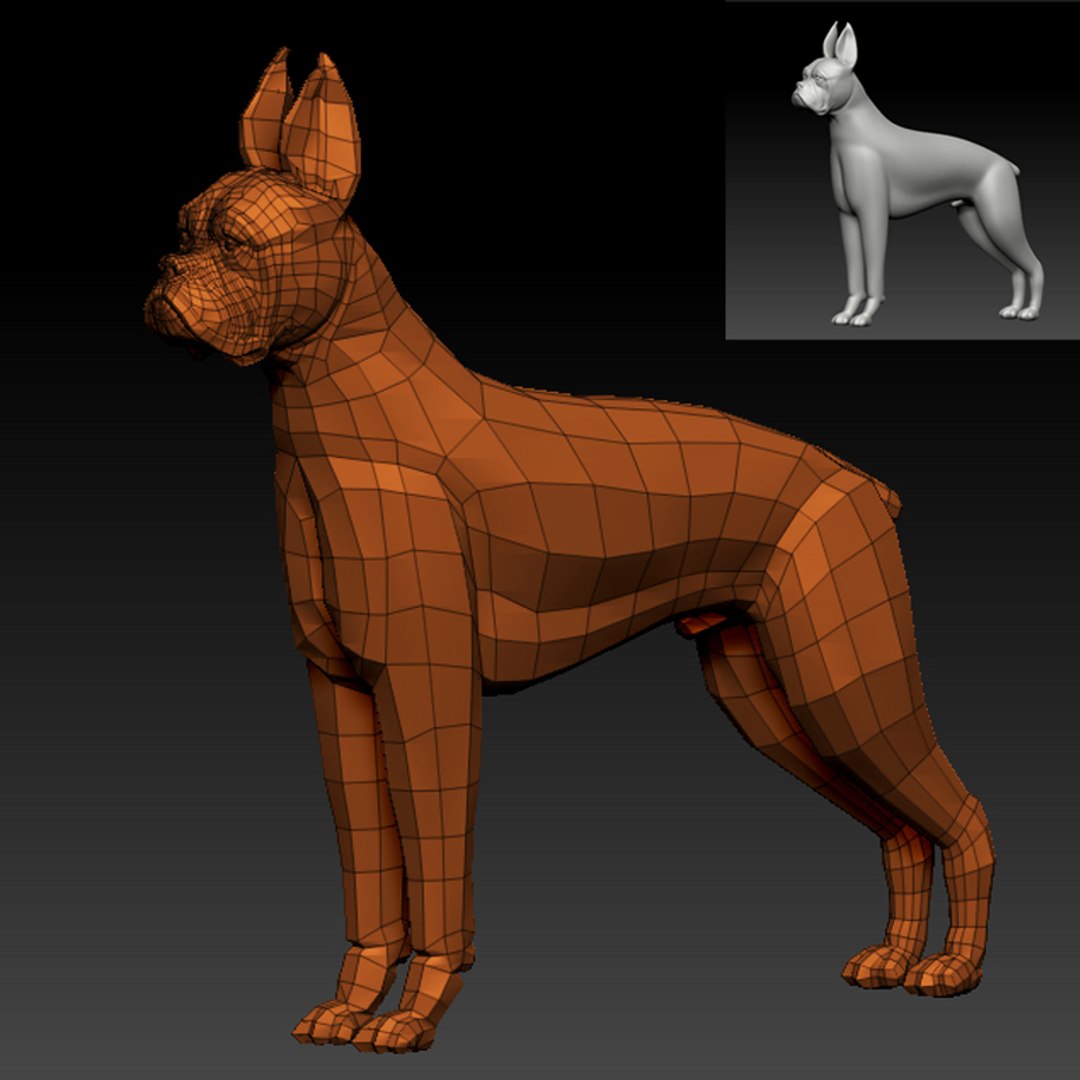 Boxer Dog 3D Model - TurboSquid 1292638