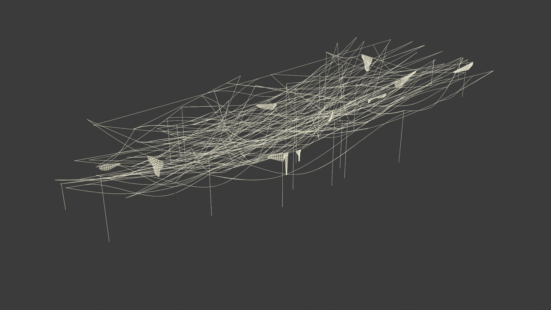 Spider Web 3D Model - TurboSquid 2206578