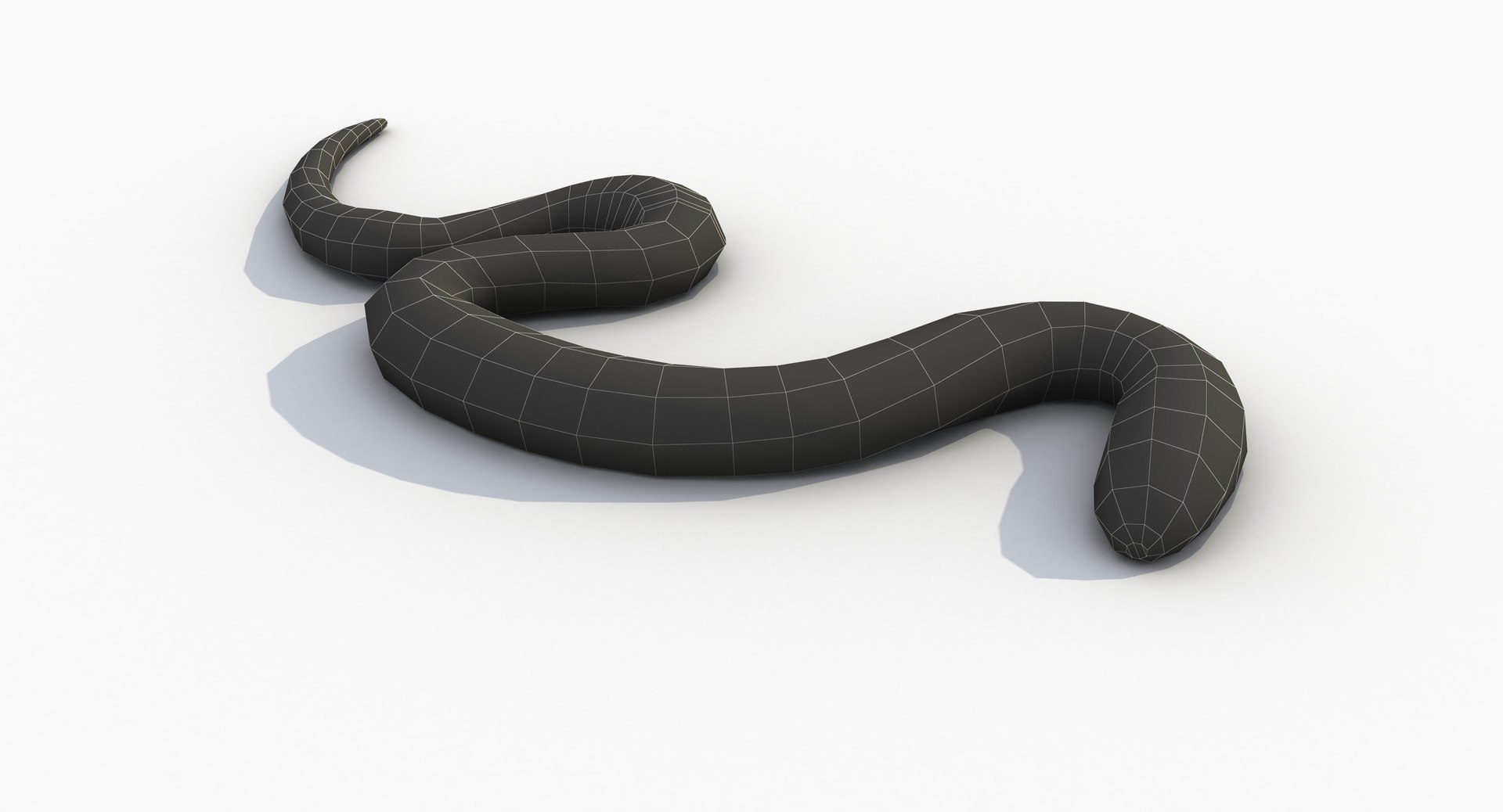 earth worm 3d model