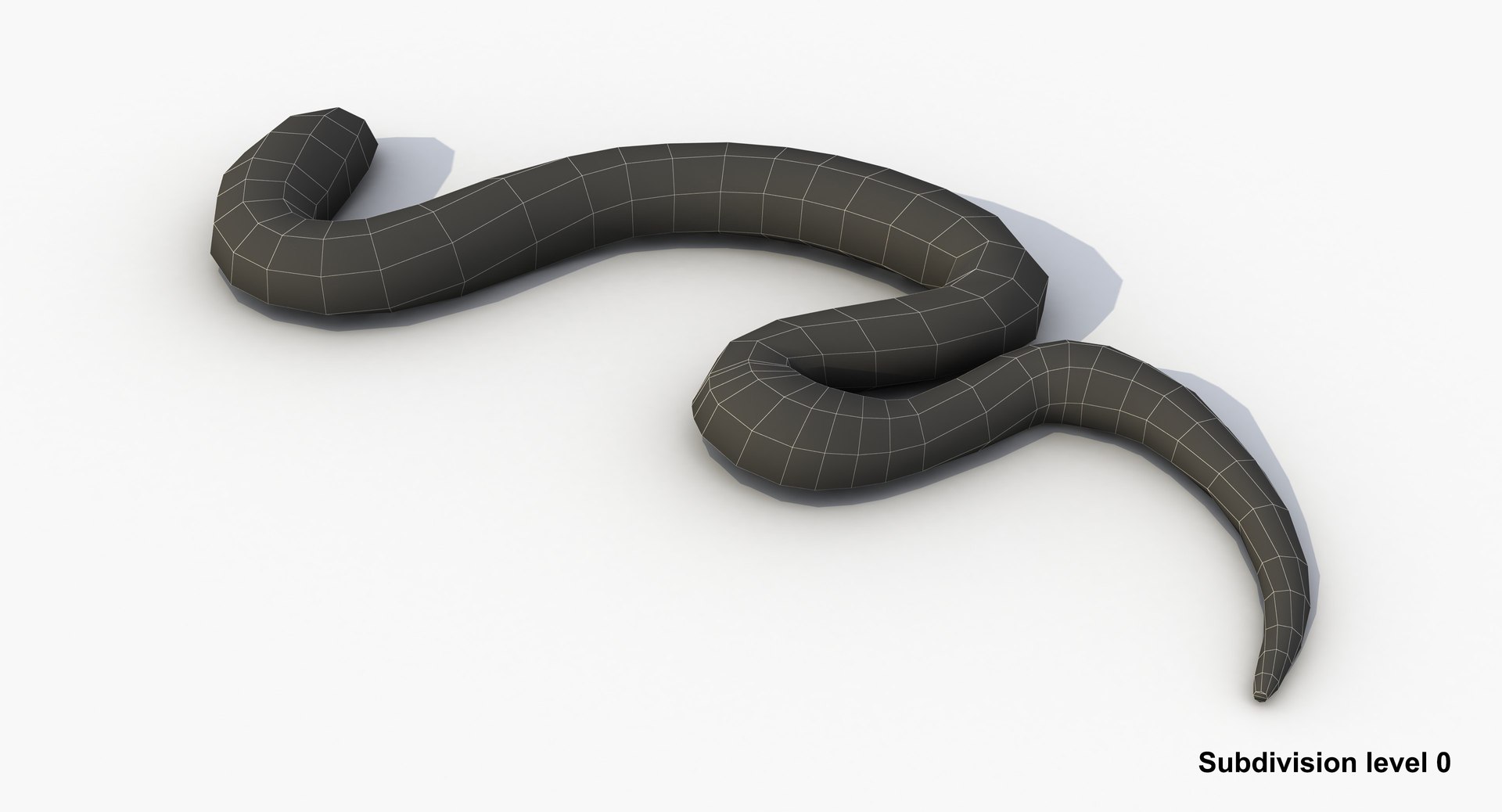 earth worm 3d model