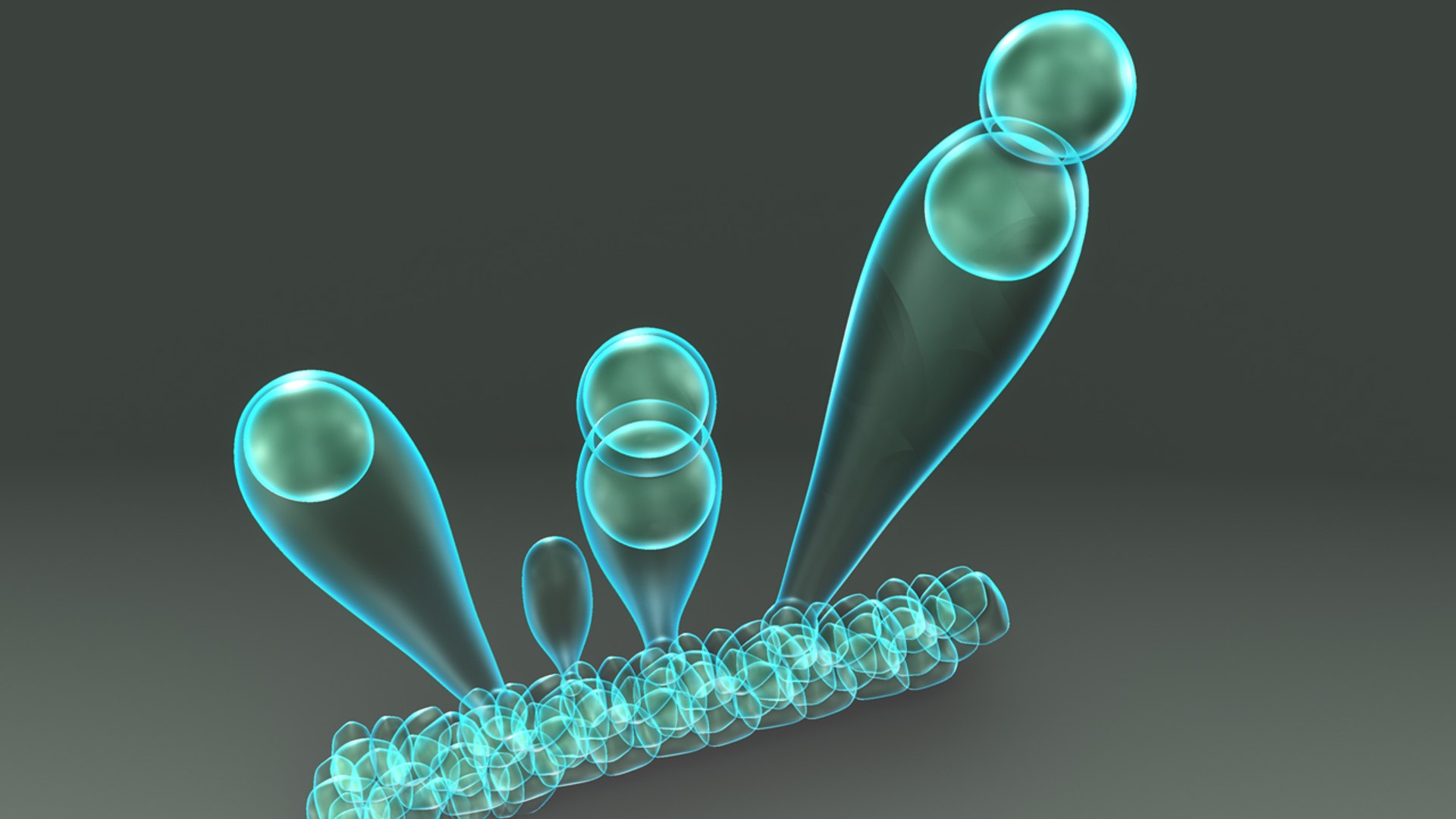 Spore Exospore 3d Obj