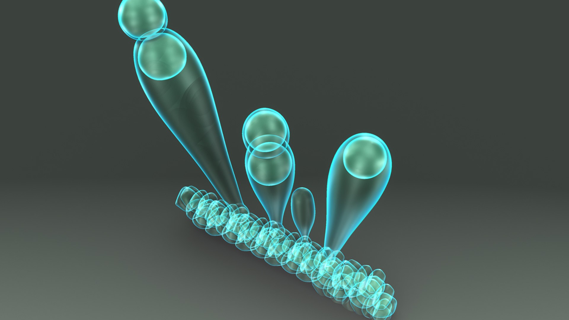 Spore Exospore 3d Obj