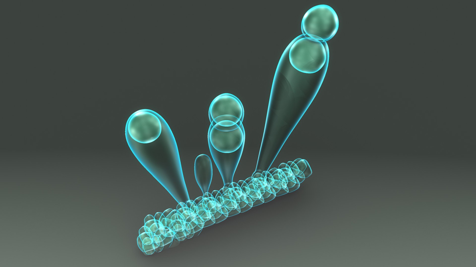 Spore Exospore 3d Obj