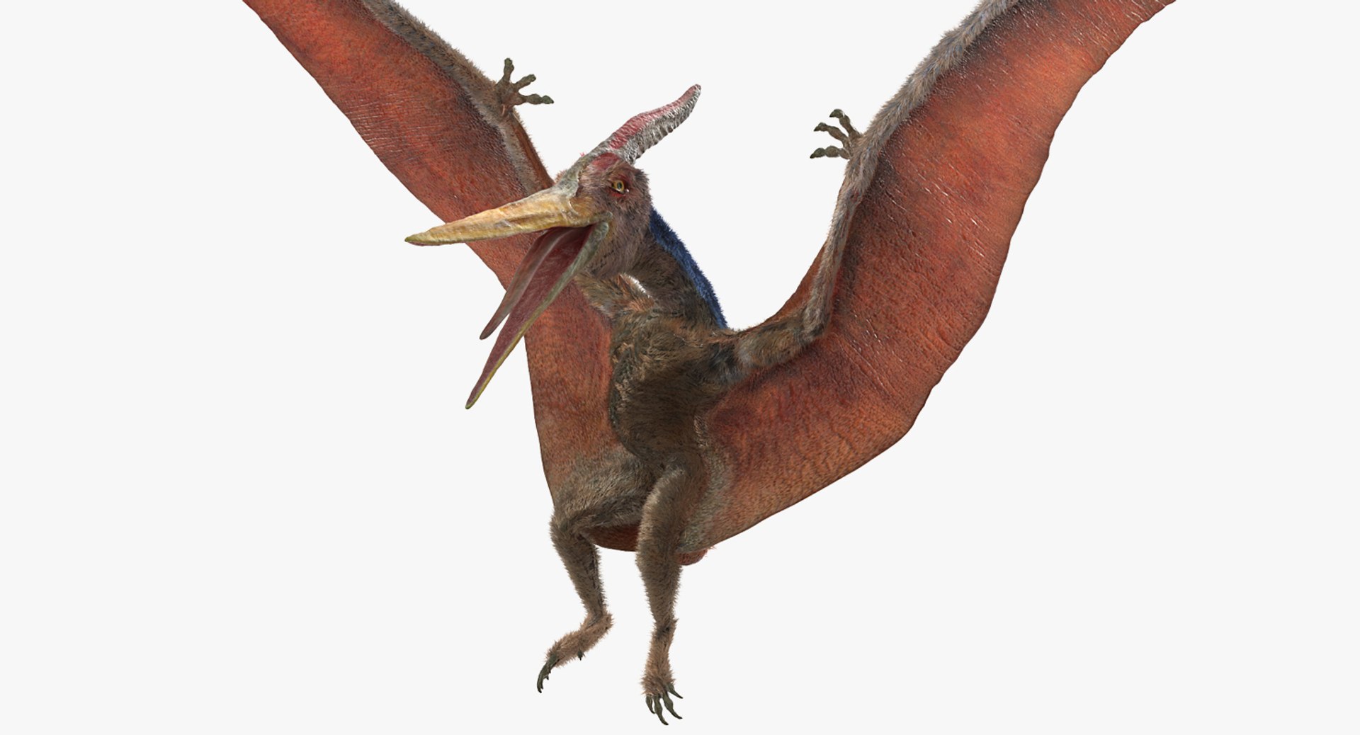 Pteranodon Fur Landing Pose 3D Model - TurboSquid 1384561 Pteranodon Fur Landing Pose 3D Model - TurboSquid 1384561