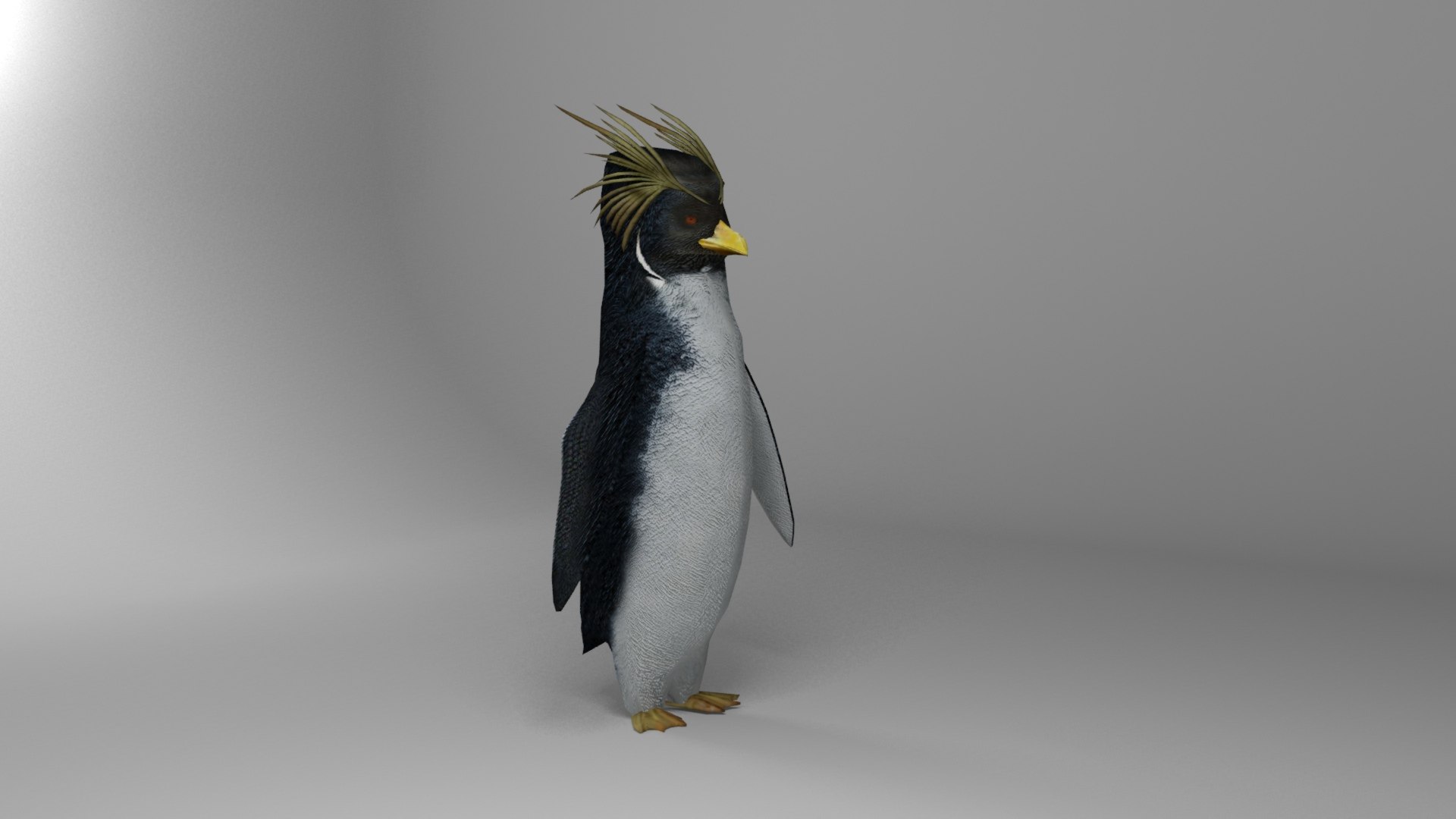 Cody Maverick Penguin Animation 3D Model - TurboSquid 1367356