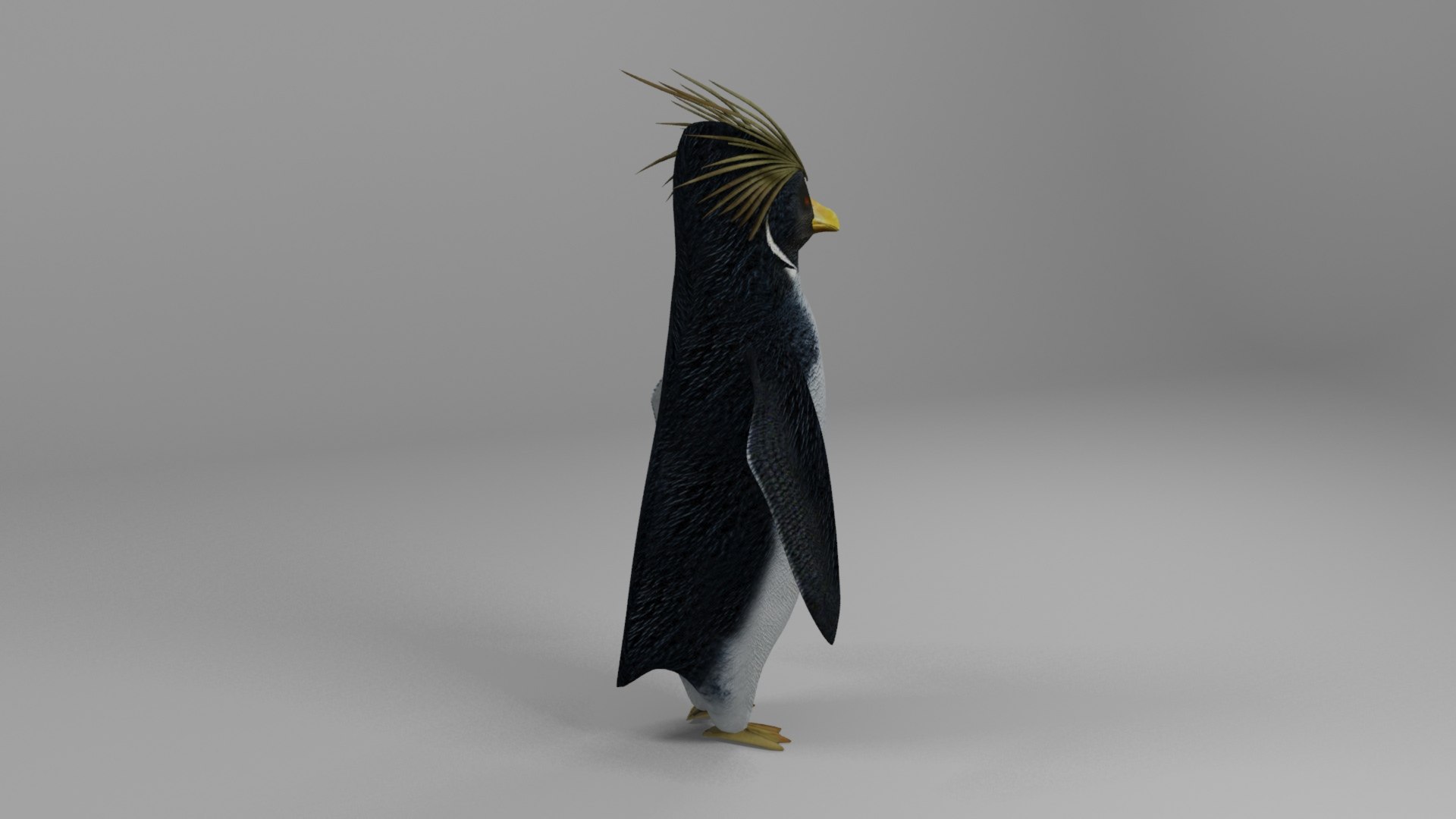 Cody Maverick Penguin Animation 3D Model - TurboSquid 1367356
