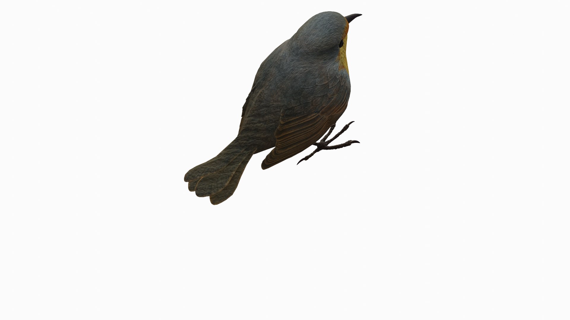 3D Bird Model - TurboSquid 1673919