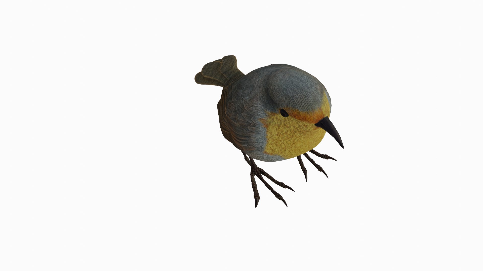 3D Bird Model - TurboSquid 1673919