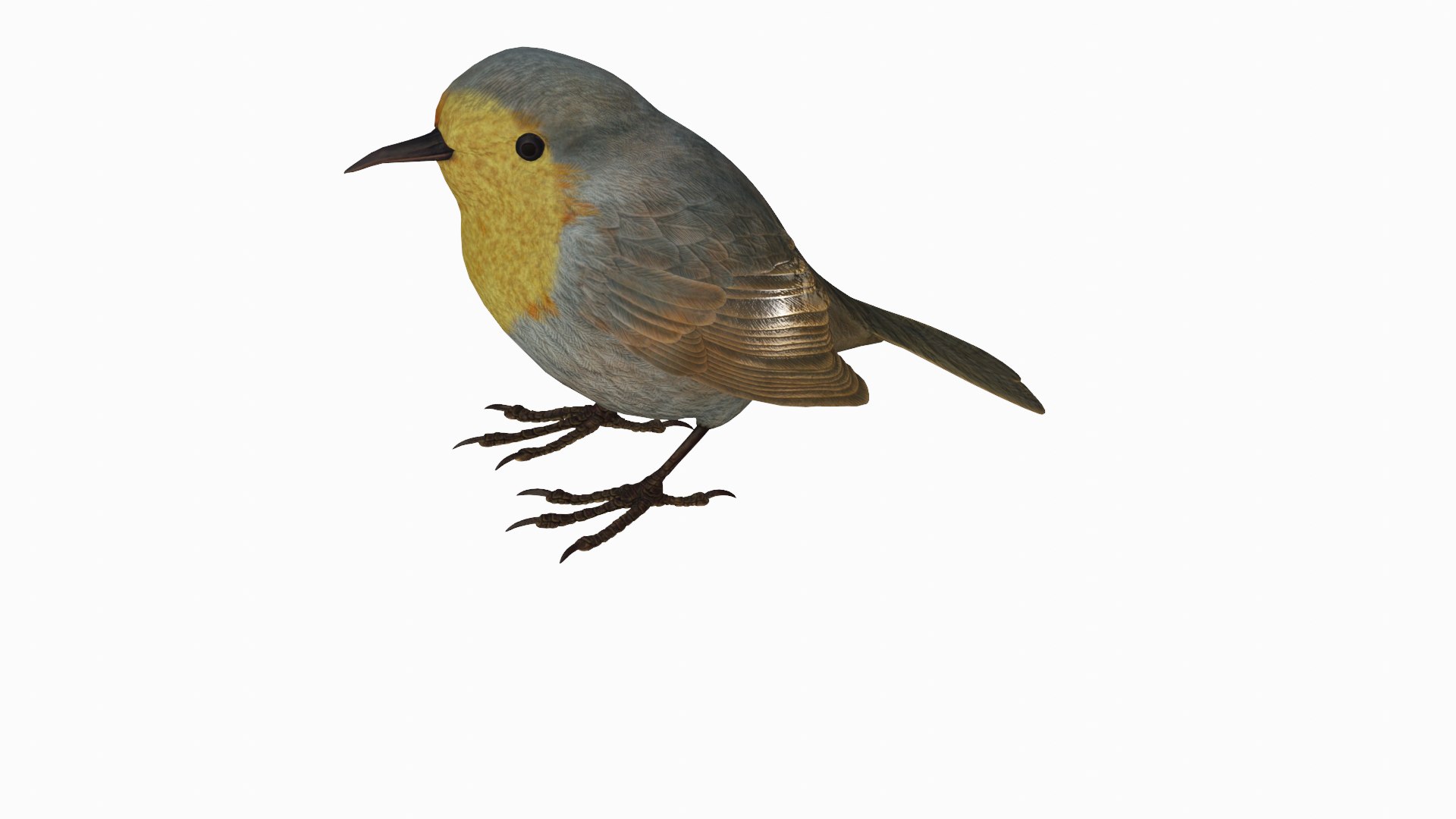 3D Bird Model - TurboSquid 1673919