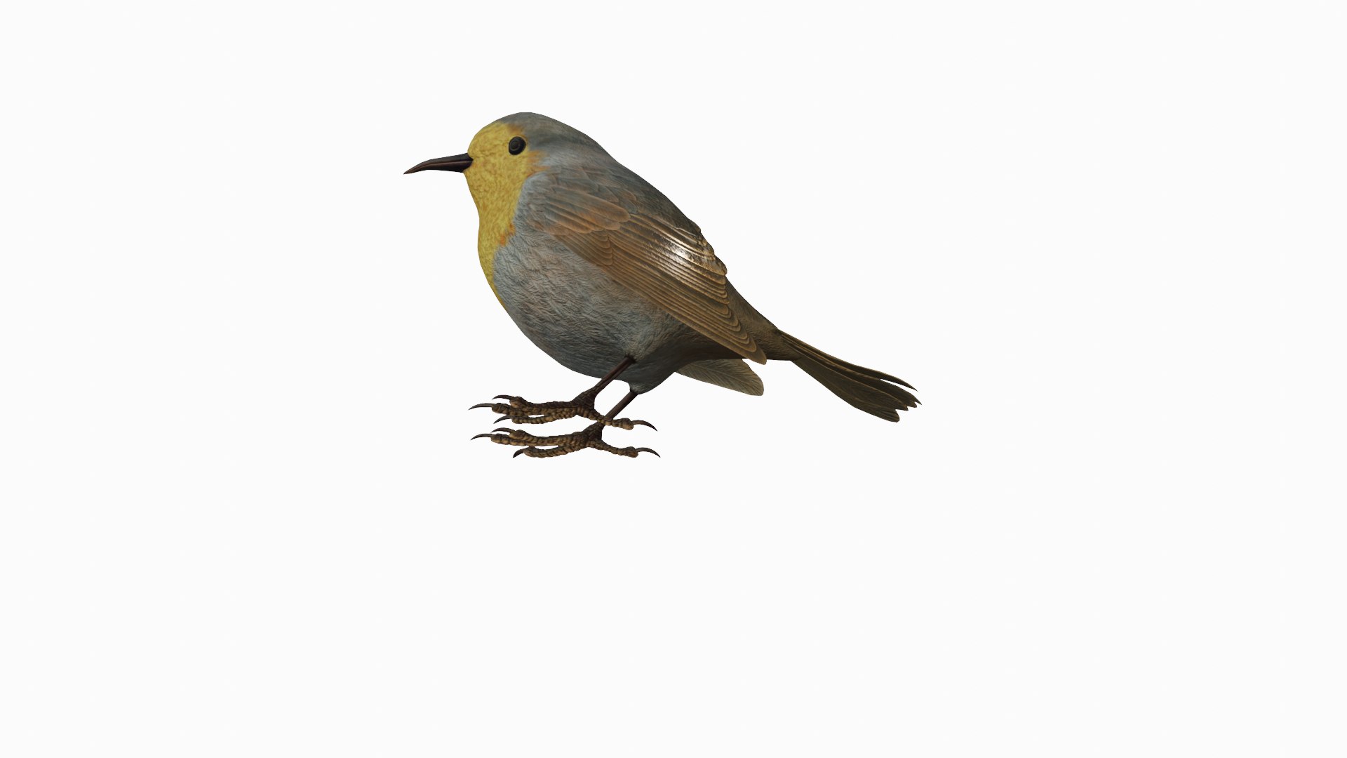 3D Bird Model - TurboSquid 1673919