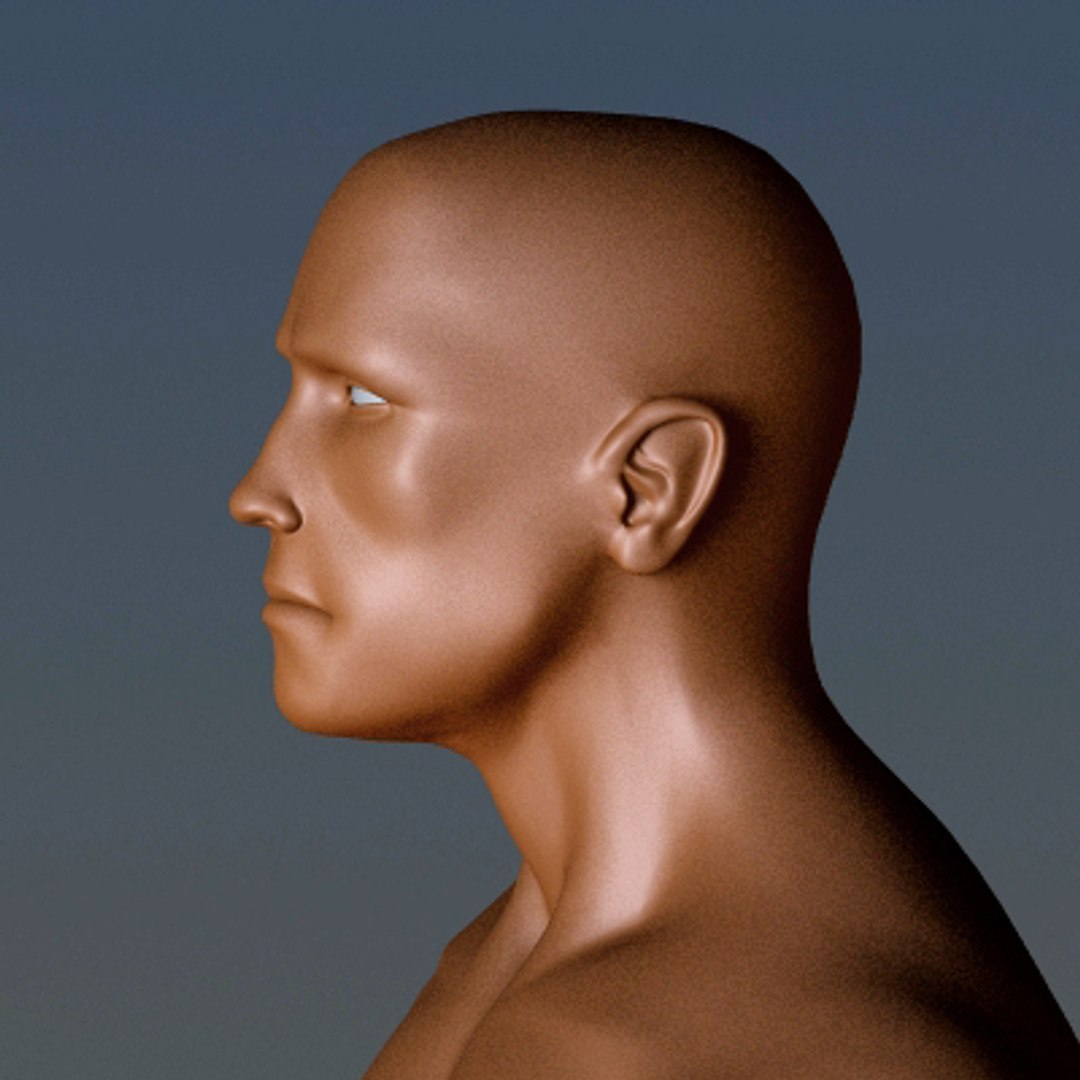 Athletic Character Arnold 3d Model