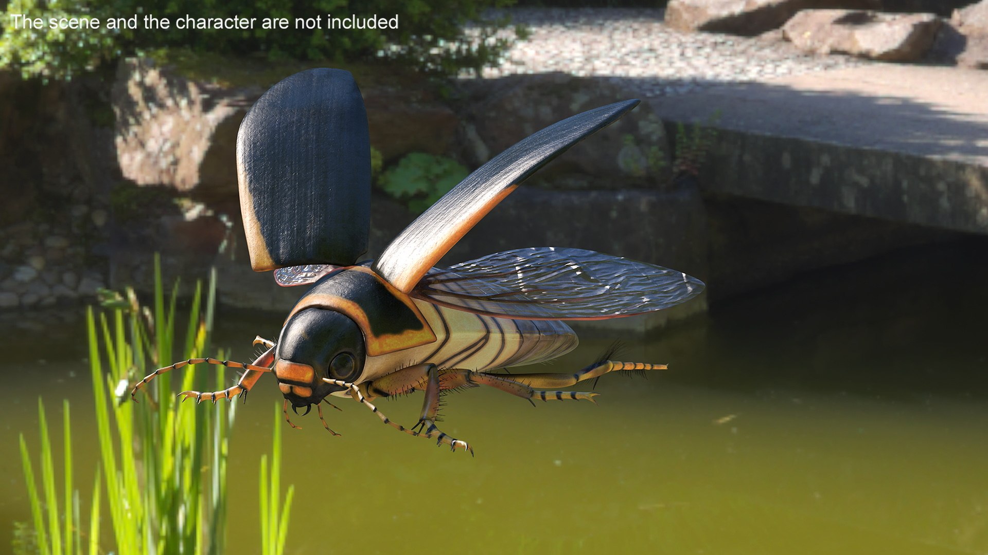 3D Insect Water Beetle Brown Realistic Rigged For Maya - TurboSquid 2316323
