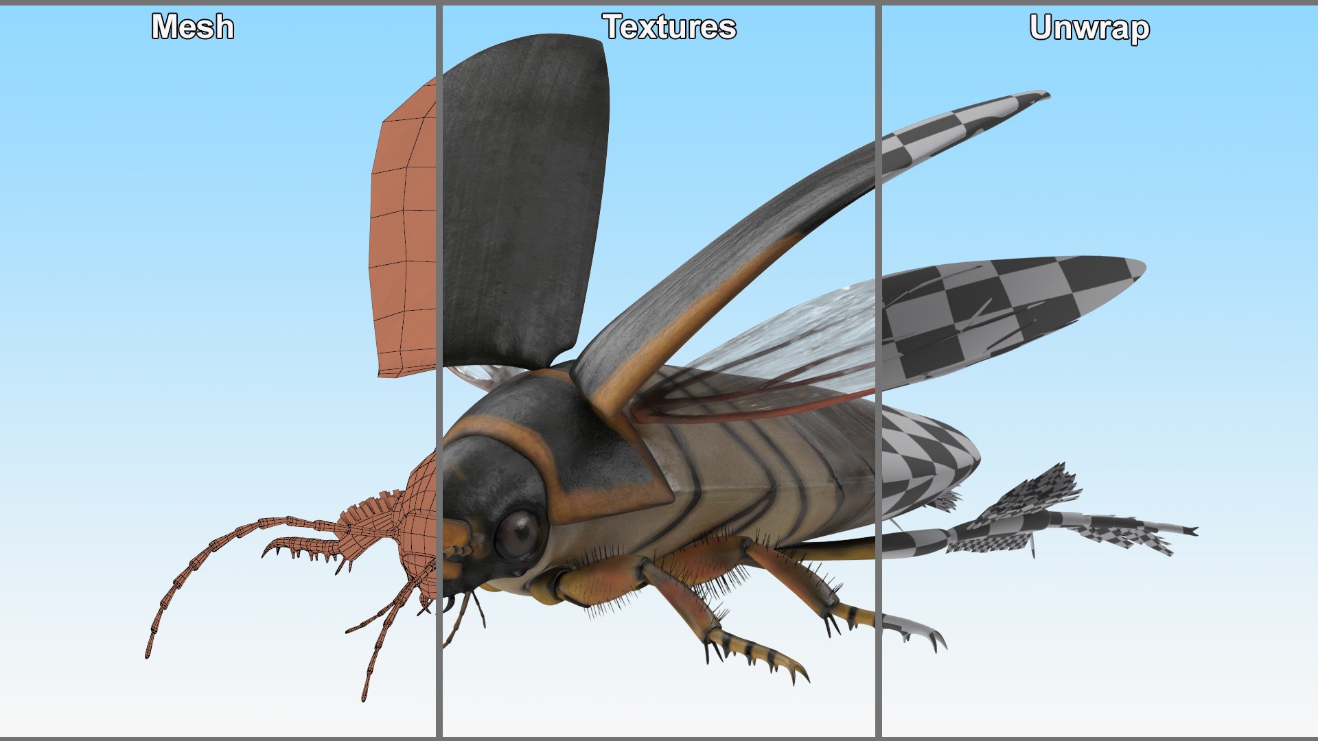 3D Insect Water Beetle Brown Realistic Rigged For Maya - TurboSquid 2316323