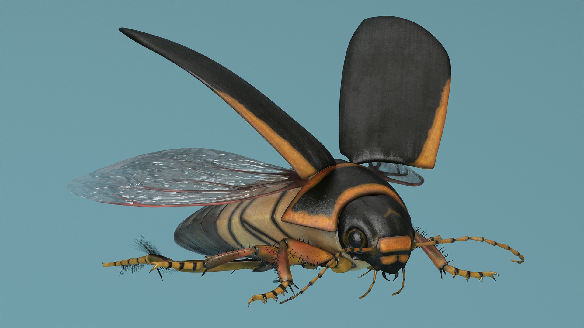 3D Insect Water Beetle Brown Realistic Rigged For Maya - TurboSquid 2316323