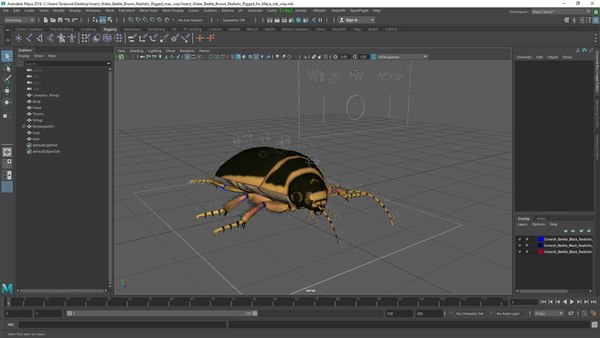 modelo 3d Insecto Escarabajo Acuático Marrón Realista Aparejado para ...
