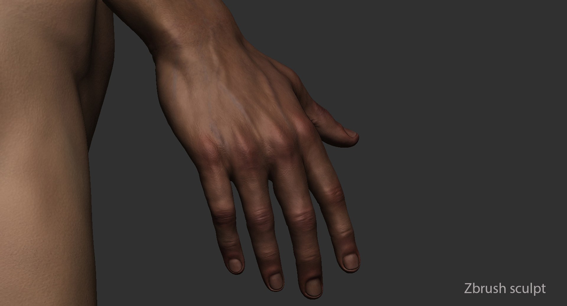 Male Body Rigging 3d Max