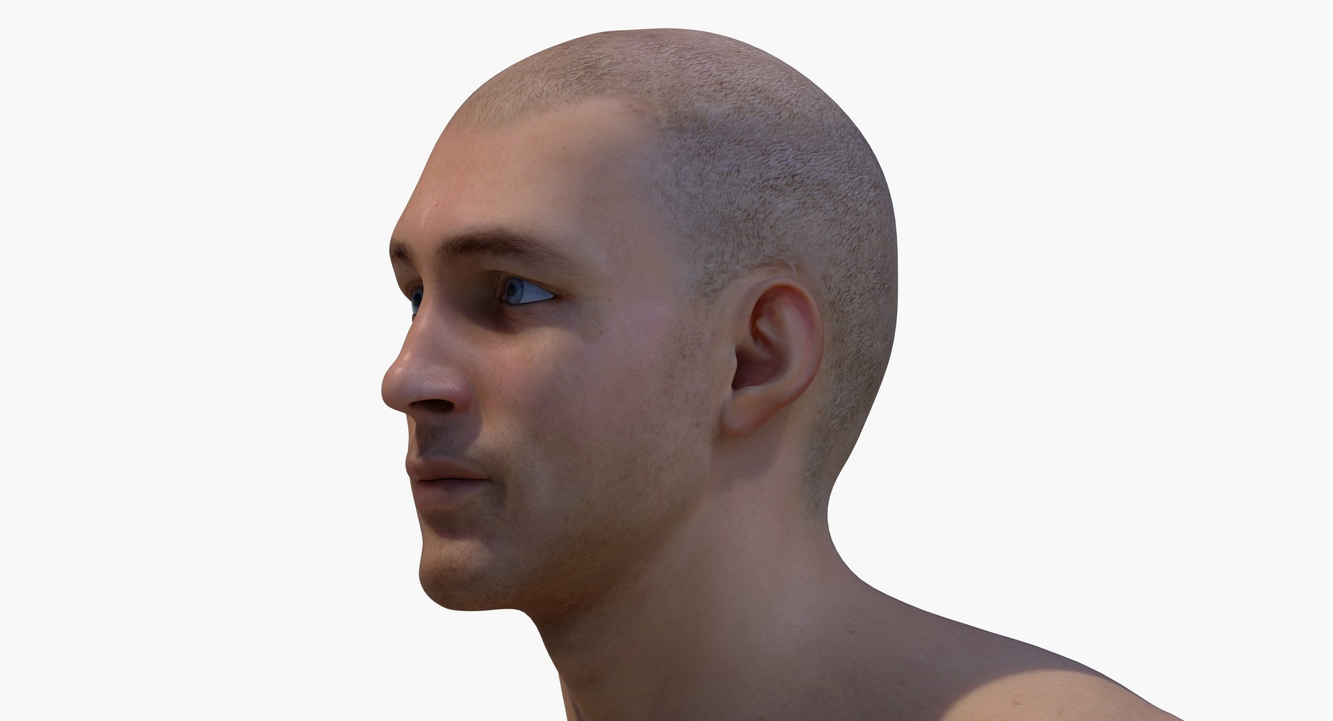 Male Body Rigging 3d Max