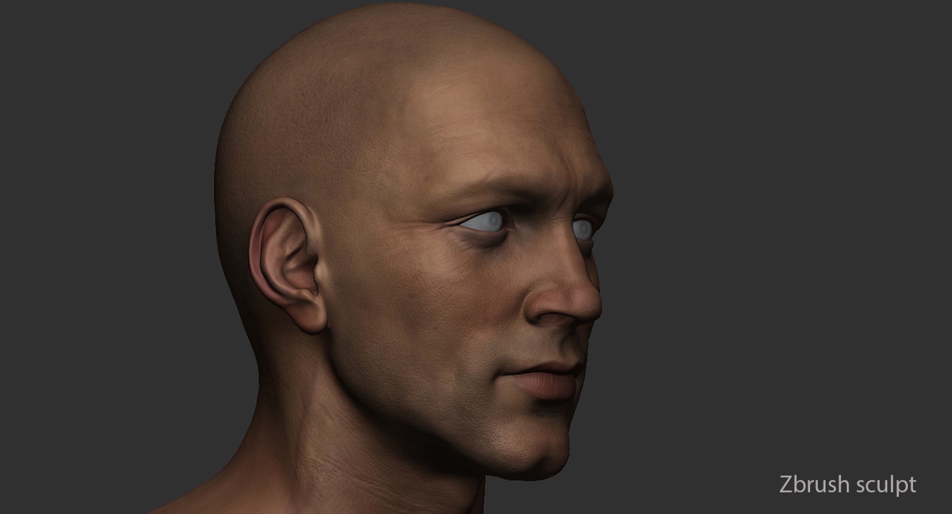 Male Body Rigging 3d Max